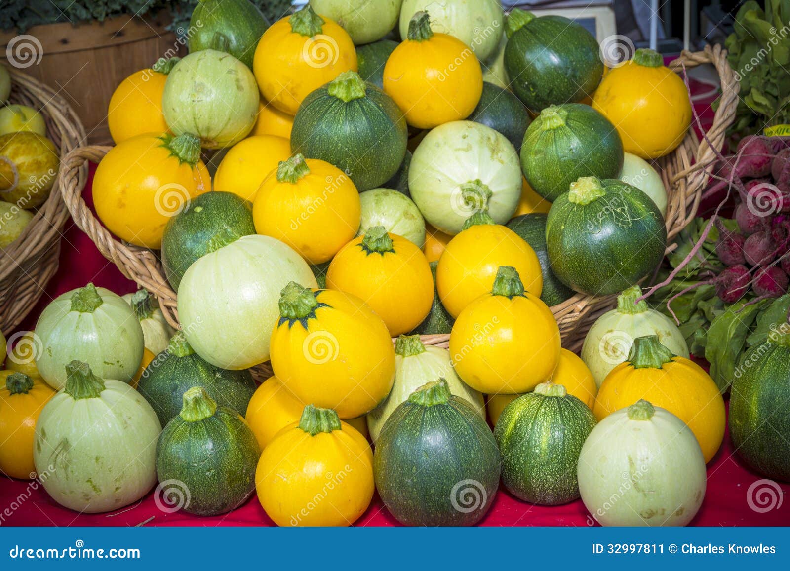 Many Different Kind Sof Small Round Squash Stock Image - Image of ...