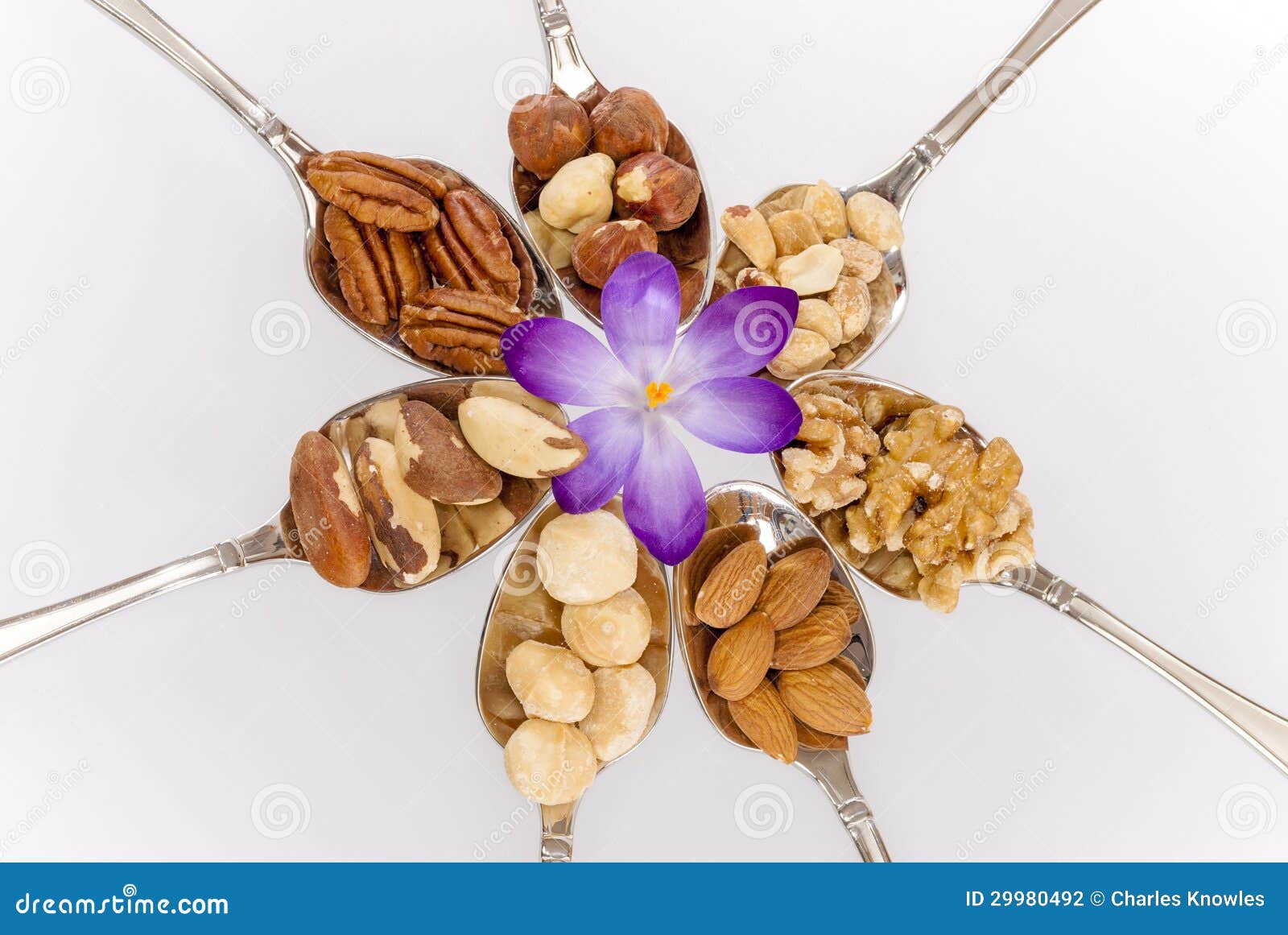 Different Nuts on Spoons with a Flower Stock Photo - Image of flower ...