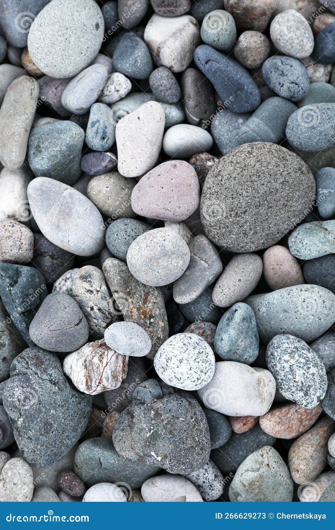 Different Pebbles In Concrete To Use As Background Royalty-Free Stock ...