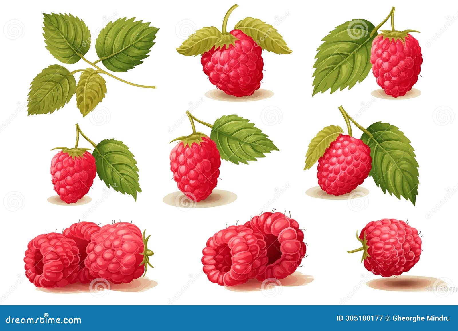 Many Different Raspberries in Different Poses, in the Style of Vibrant ...