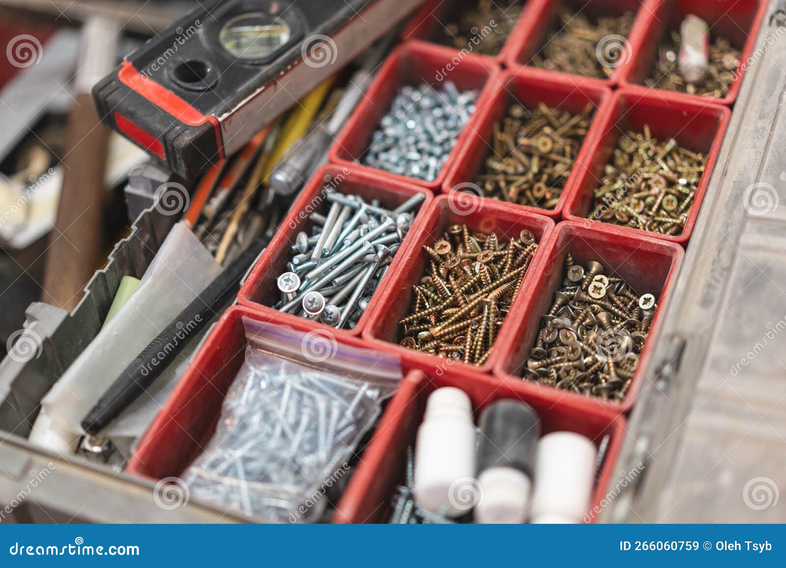 Many Different Screws in the Organizer of Master for Work Stock Image ...