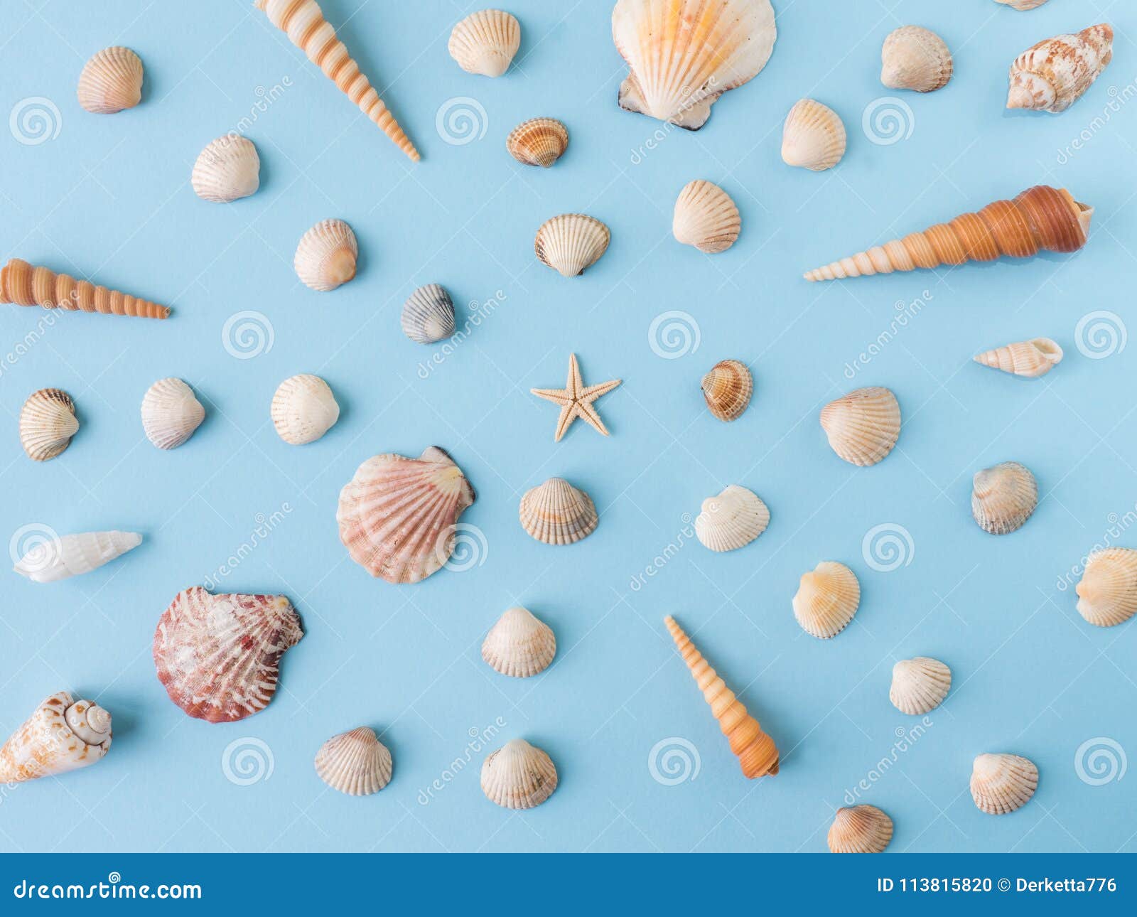 Many Different Sea Shells on a Blue Background. Flat Lay. Stock Photo ...