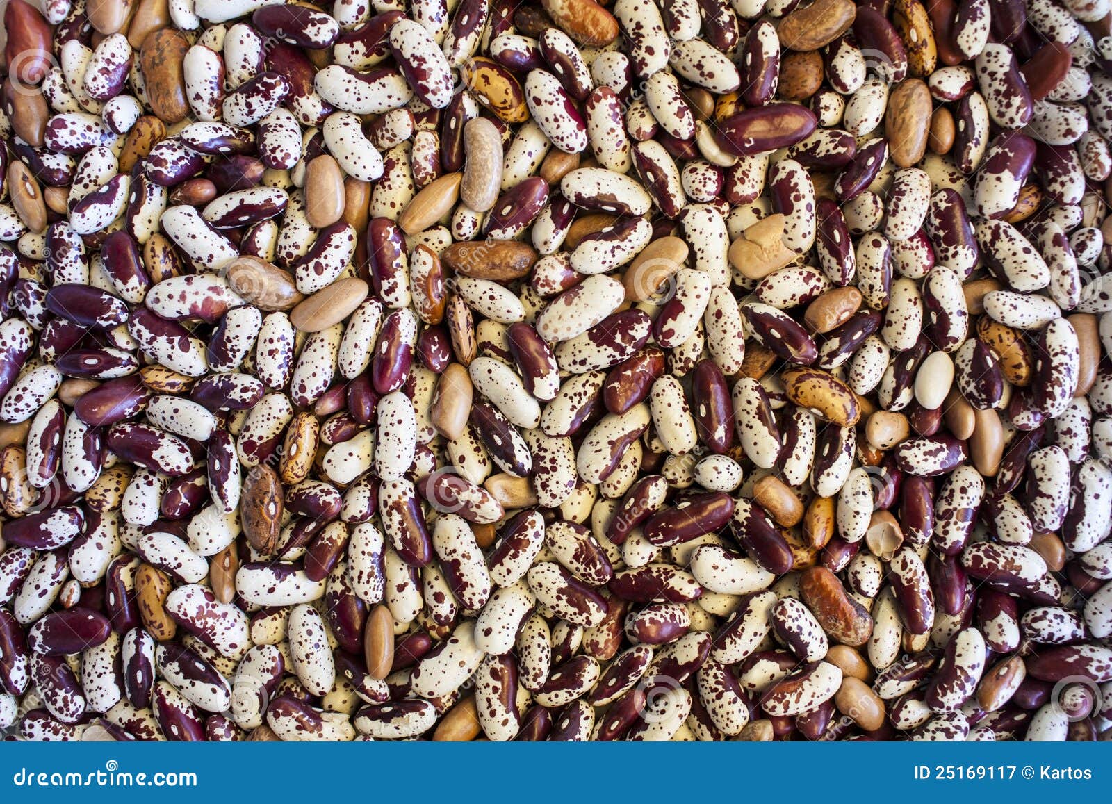 Many Different Sized and Colored Beans Stock Image - Image of healthy ...