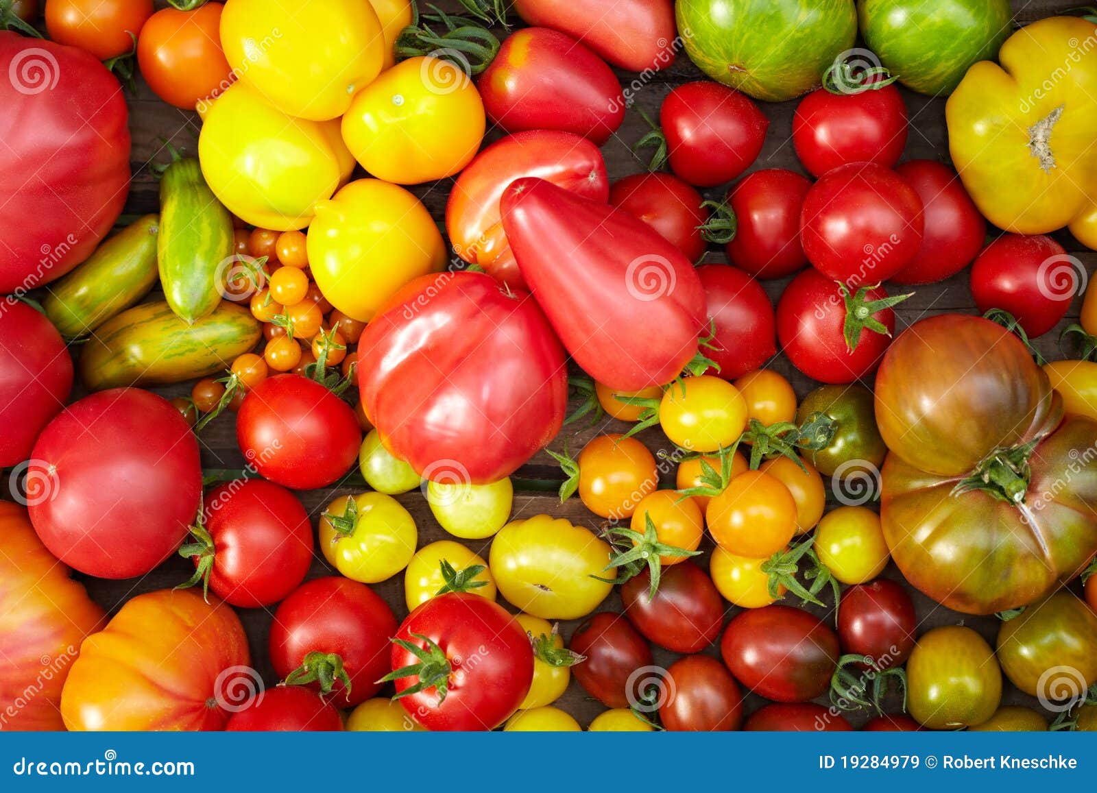 Many Different Tomato Breeds Stock Image - Image of tomato, sale: 19284979