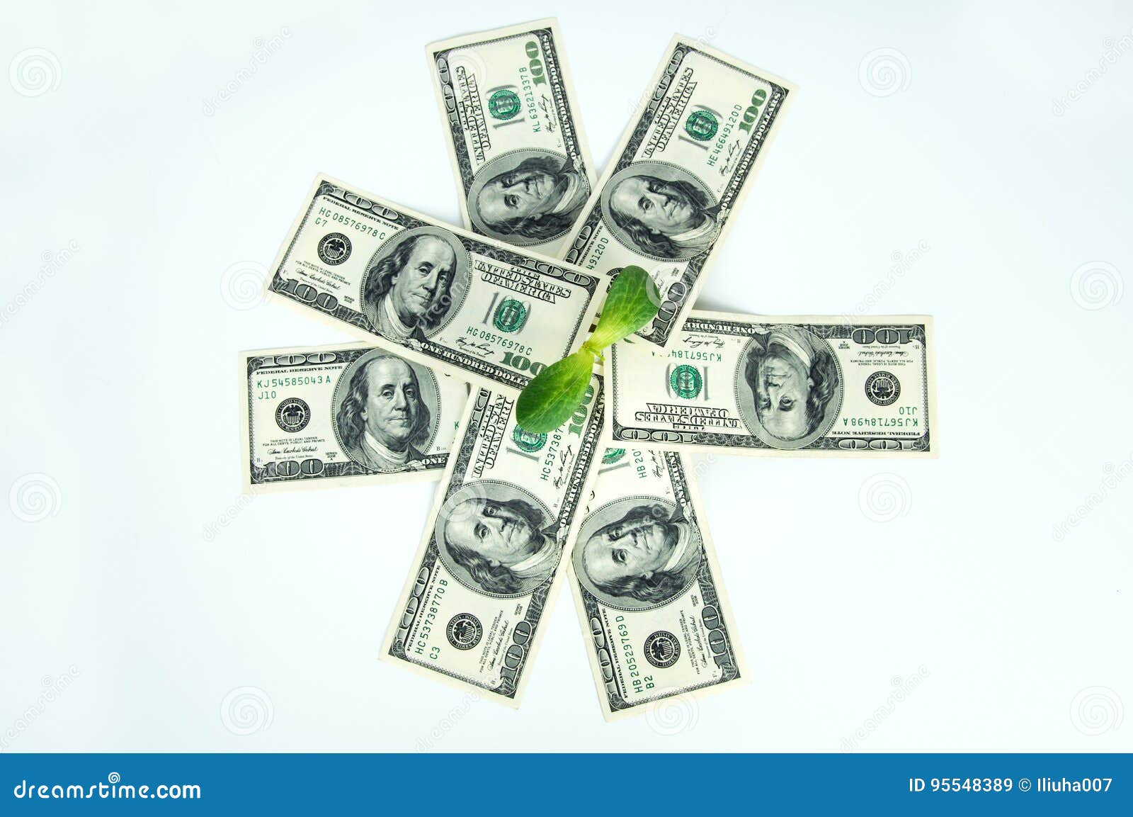 Many Dollars and a Green Sprout Isolated Stock Image - Image of finance ...