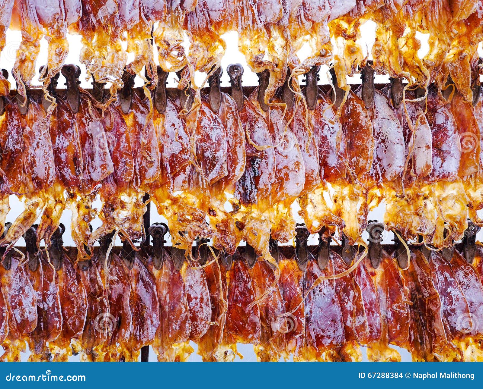 Many Dried Squid Isolated on White Stock Photo - Image of protein ...