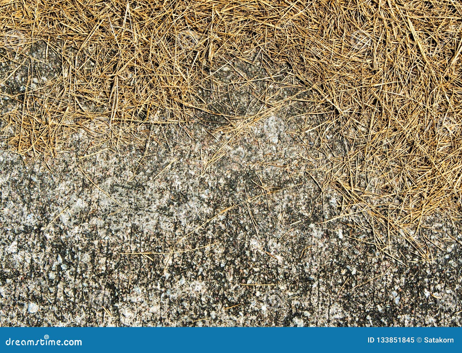 Dried Straw Falls on the Concrete Floors Stock Image - Image of pattern ...