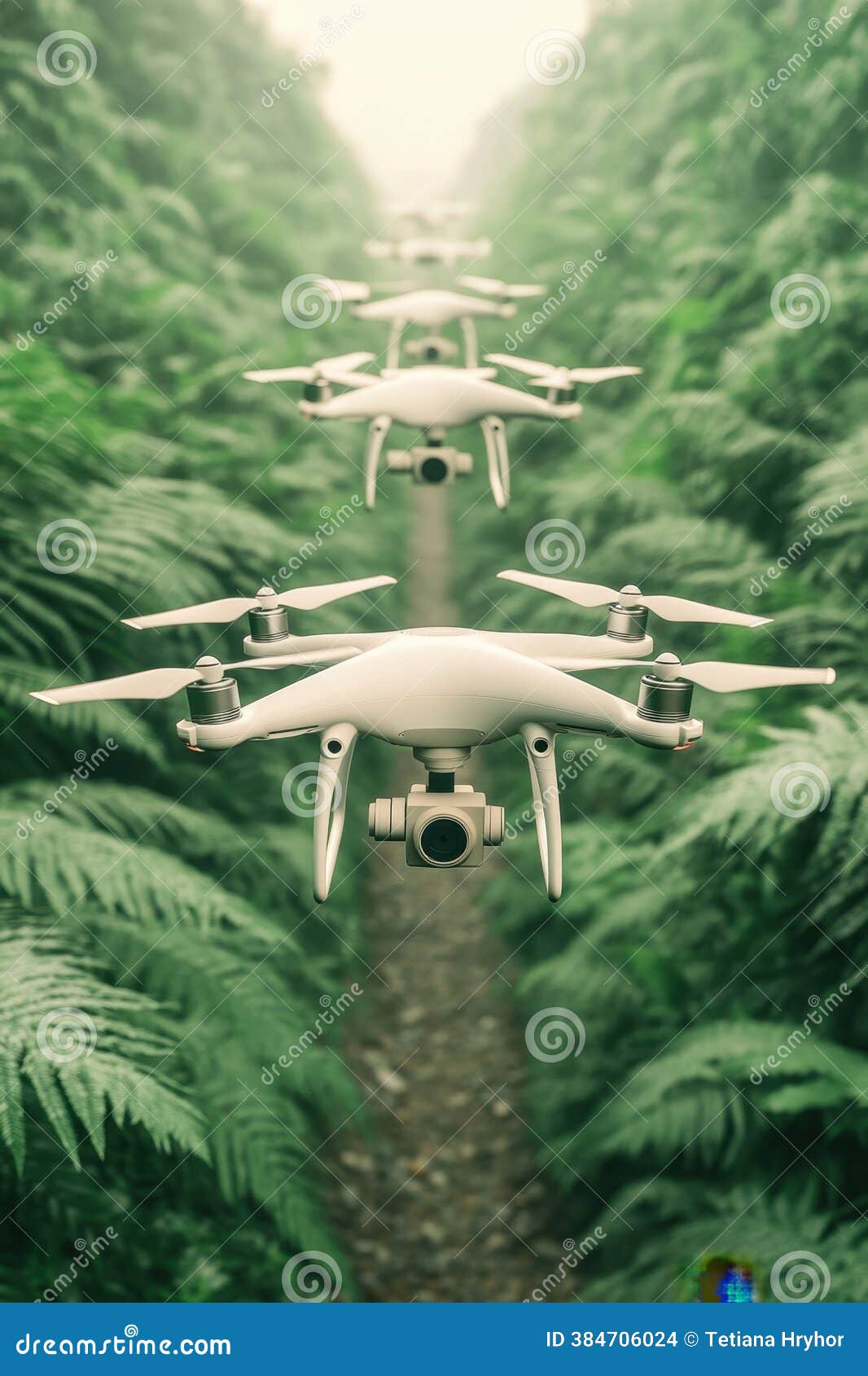 The Small Flying Fox, Island Flying Fox Or Variable Flying Fox Pteropus ...