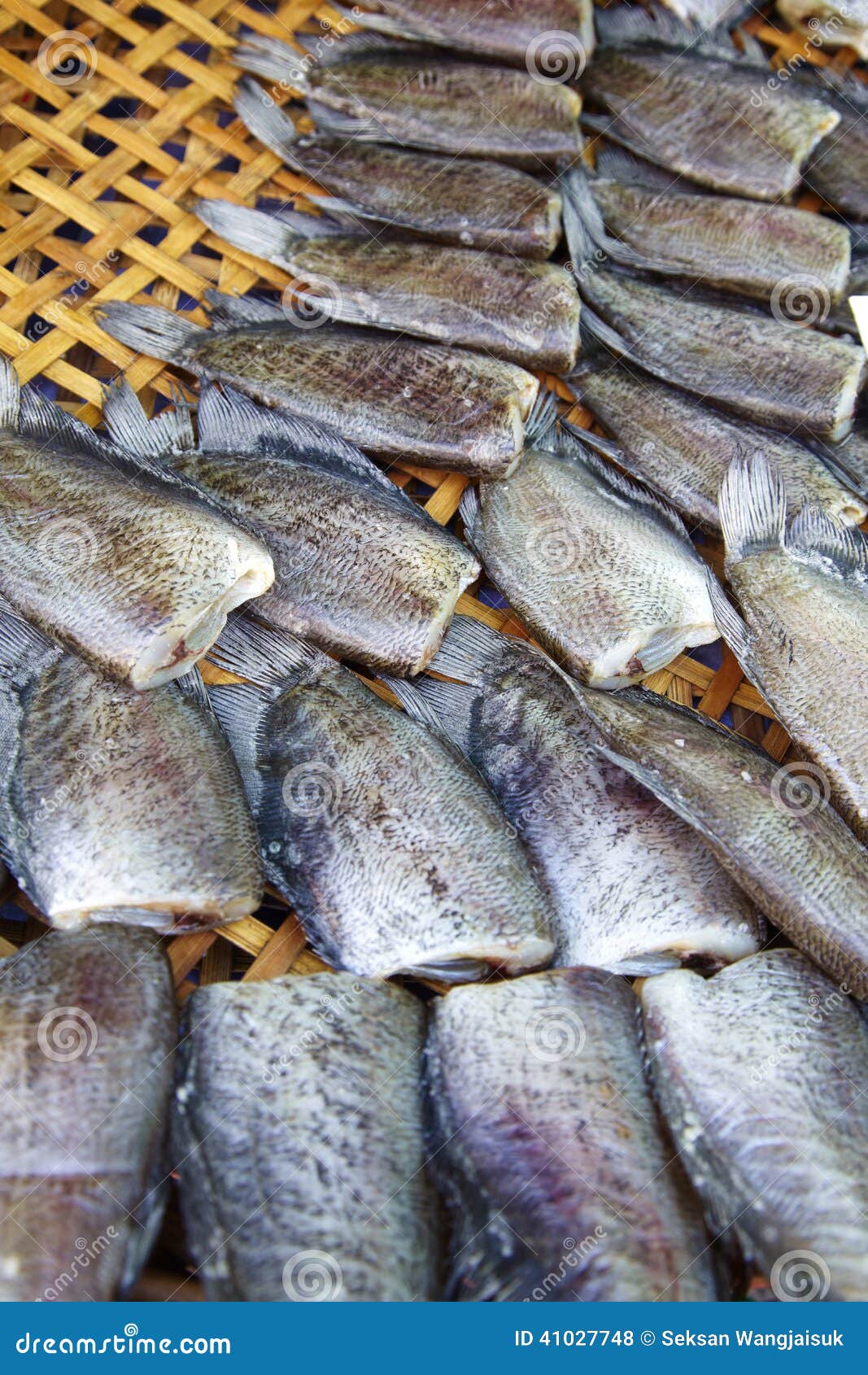 Many dry salt fish stock photo. Image of fish, headless - 41027748