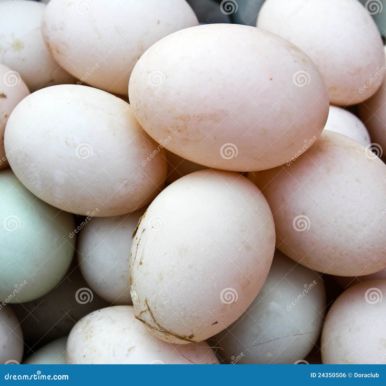Many Duck eggs stock photo. Image of food, objects, focus - 24350506