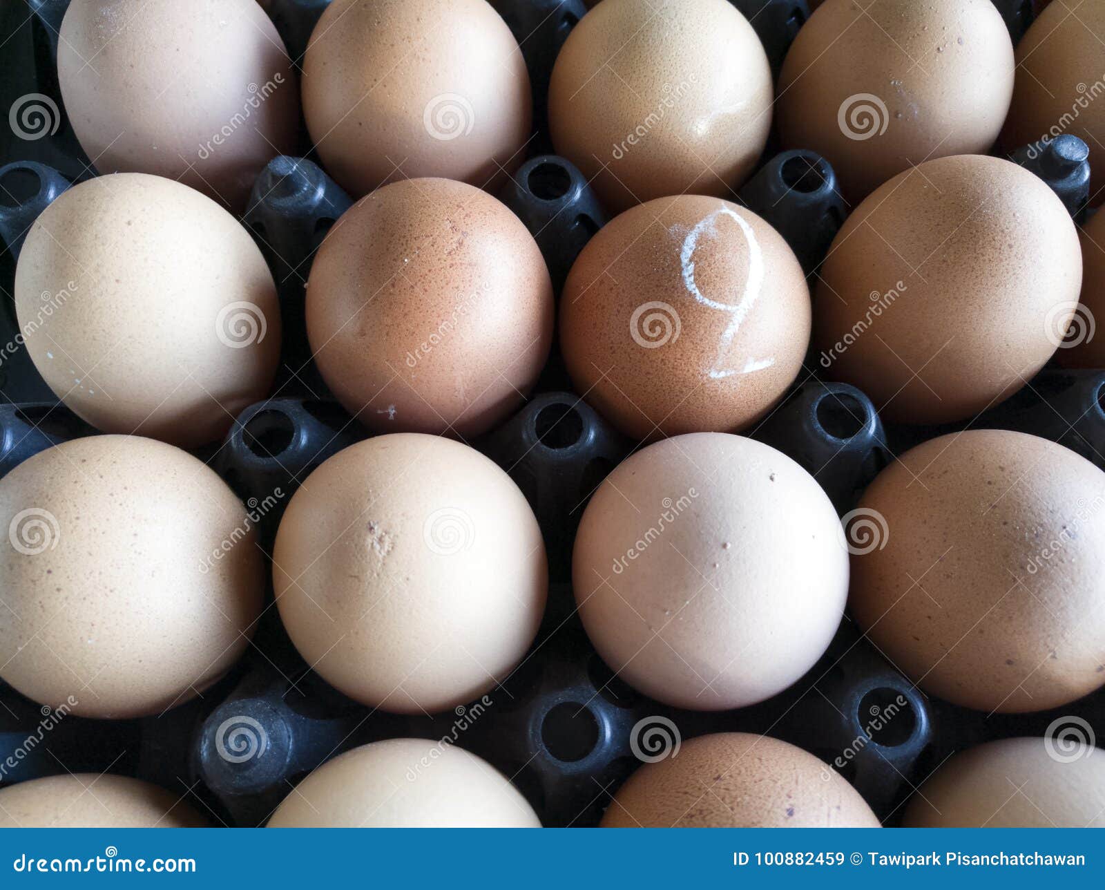Many egg stock image. Image of cooking, ingredient, healthy - 100882459