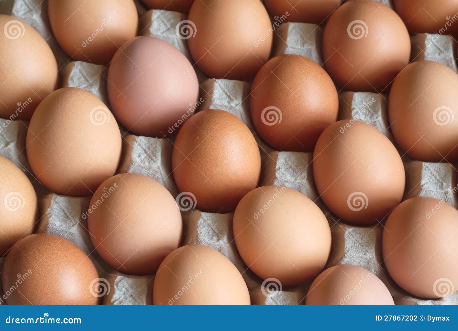 Many Eggs in Package Closeup Stock Photo - Image of fresh, container ...