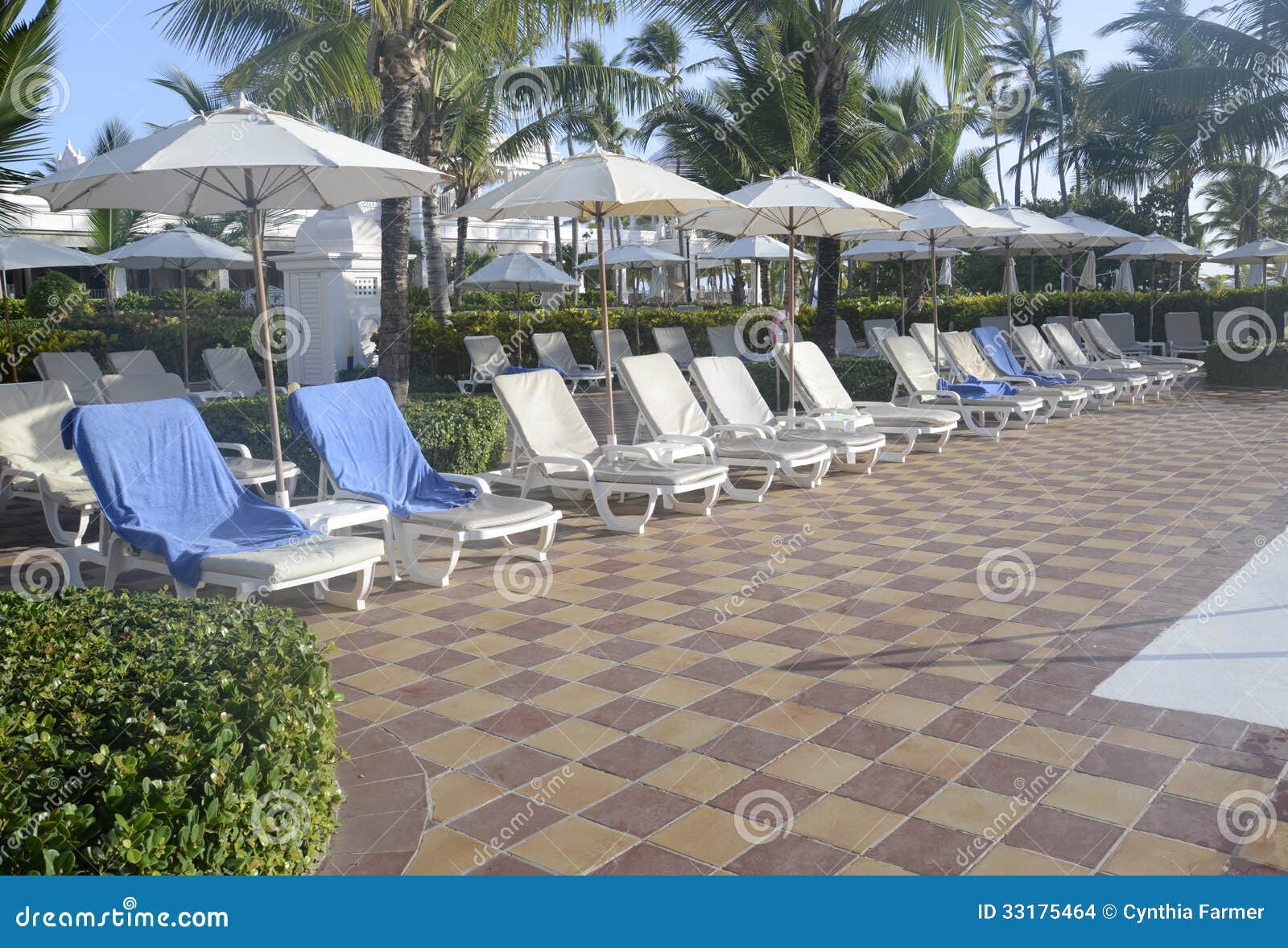 Many Empty Pool Lounge Chairs Stock Photo - Image of hotel, chairs ...