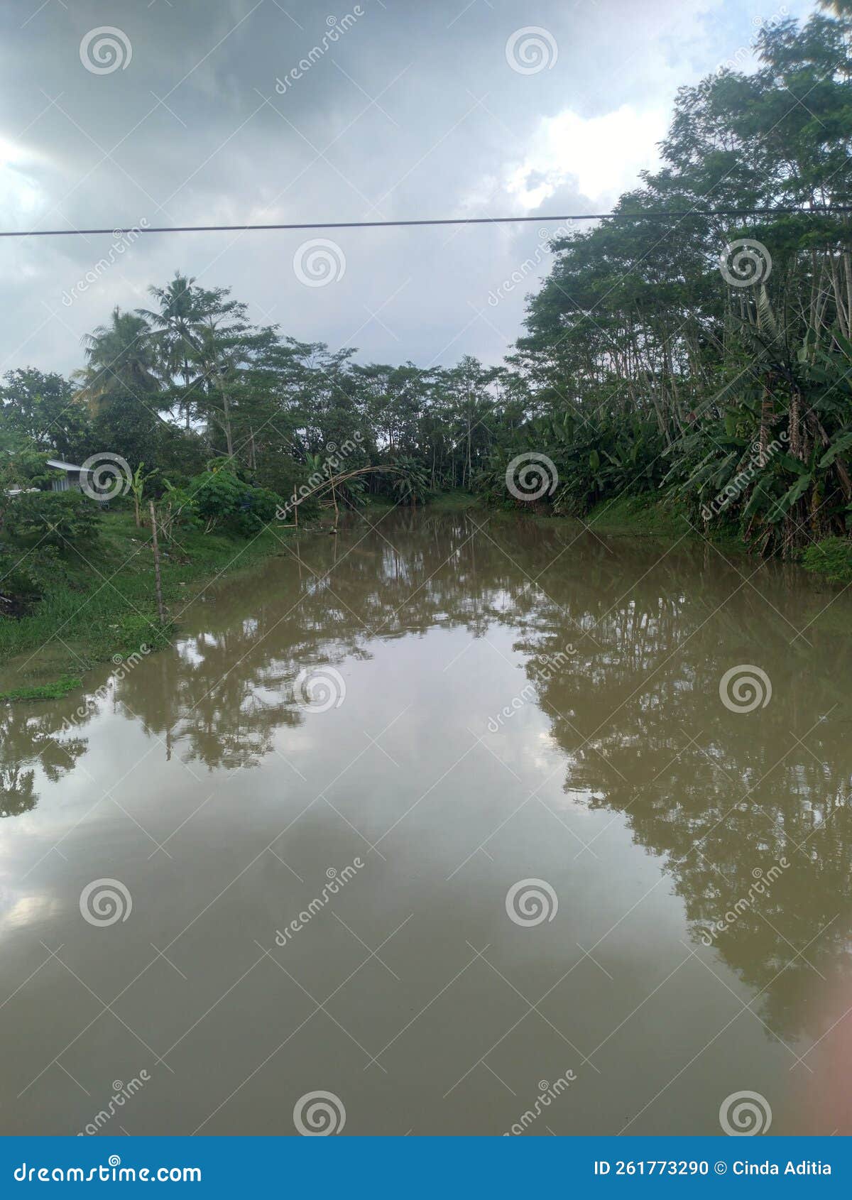 So Many Fish Breed and Many Other Animals Stock Photo - Image of ...