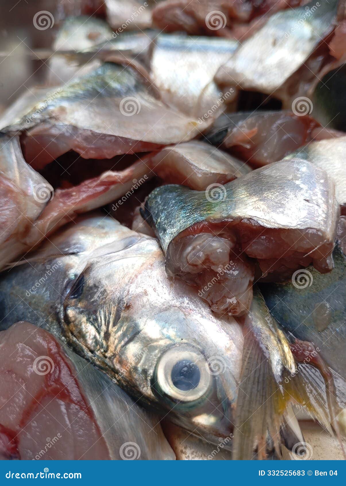 Many Fish Eyes on the Plate Stock Image - Image of amphibian, wildlife ...