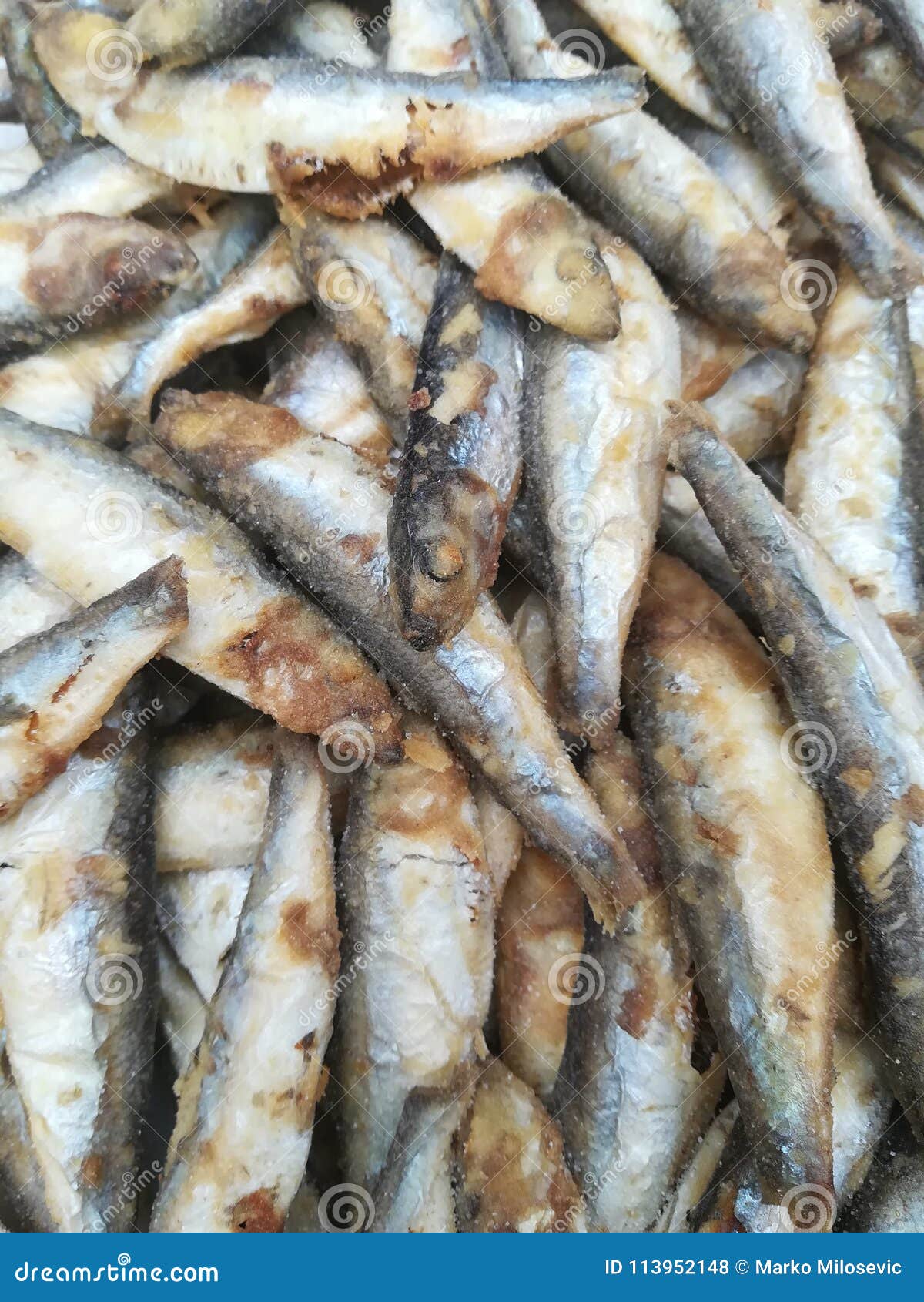 Fish sprattus stock photo. Image of health, gran, aquatic - 113952148