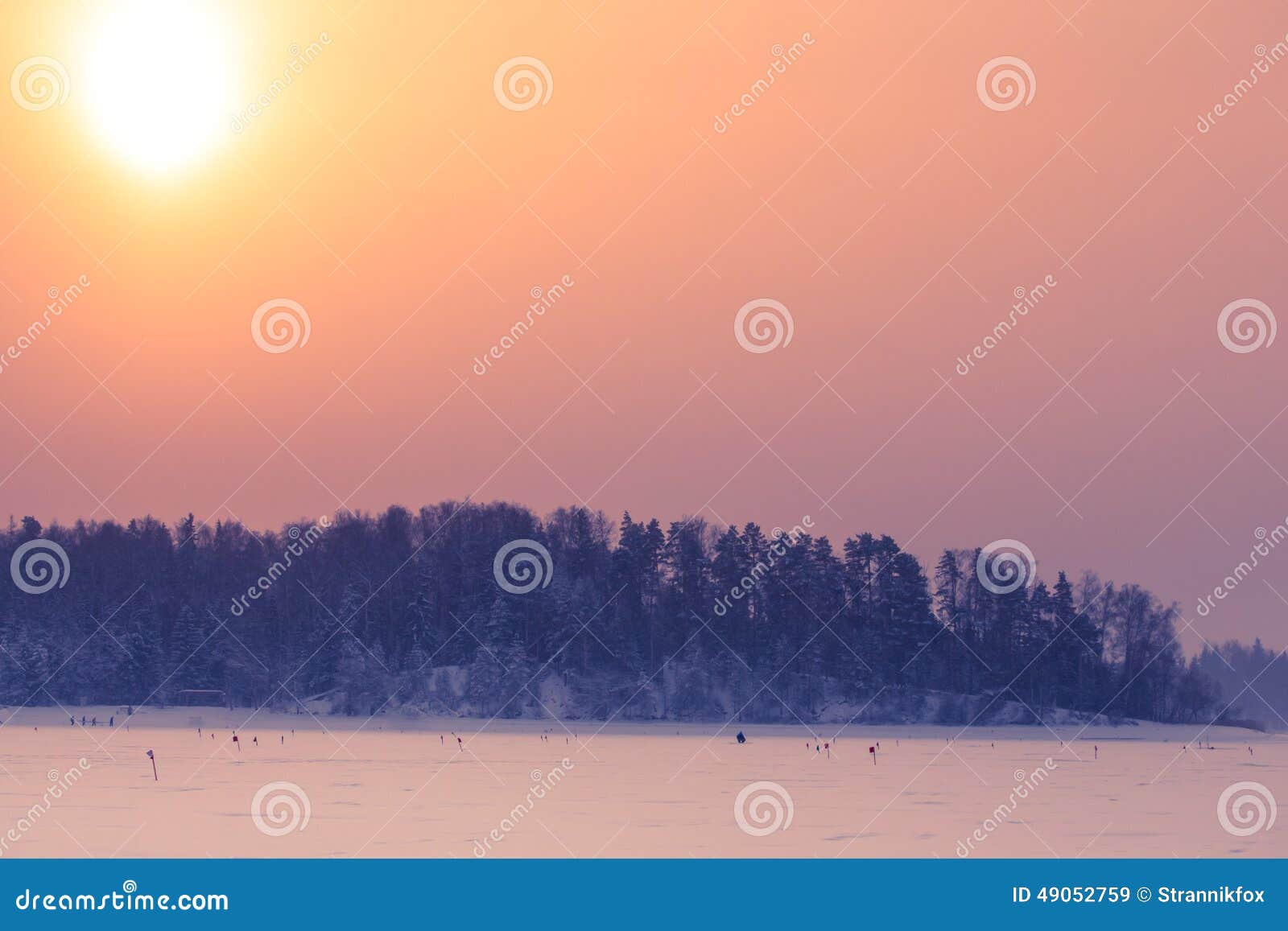 Many Flags on the Snow-covered Field Near the Forest Stock Image ...