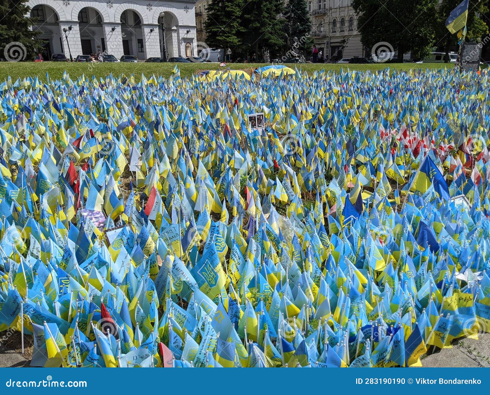 Many Flags of Ukraine in Memory of Fallen Soldiers Stock Photo - Image ...