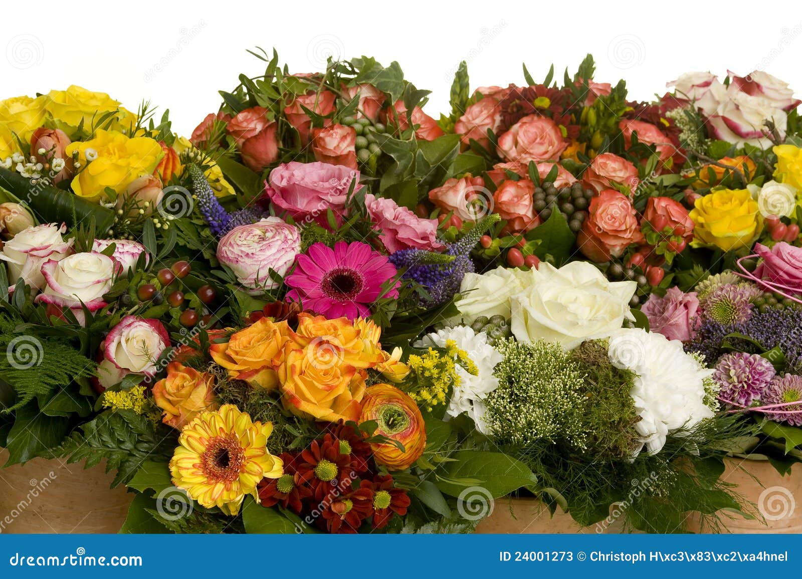 Many Flowers stock image. Image of isolated, blossom - 24001273