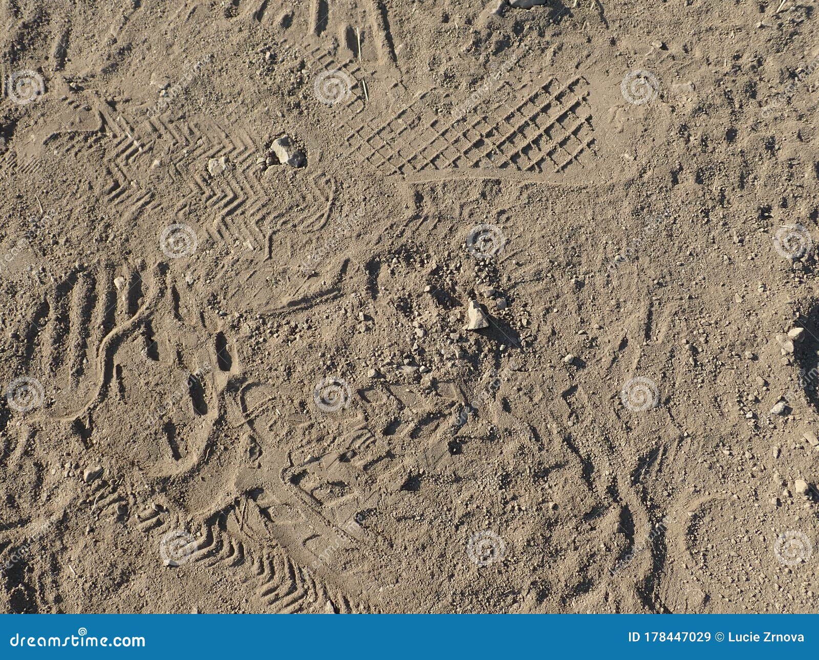 Footprint Trace of a Hiker on a Dusty Trail Stock Image - Image of ...