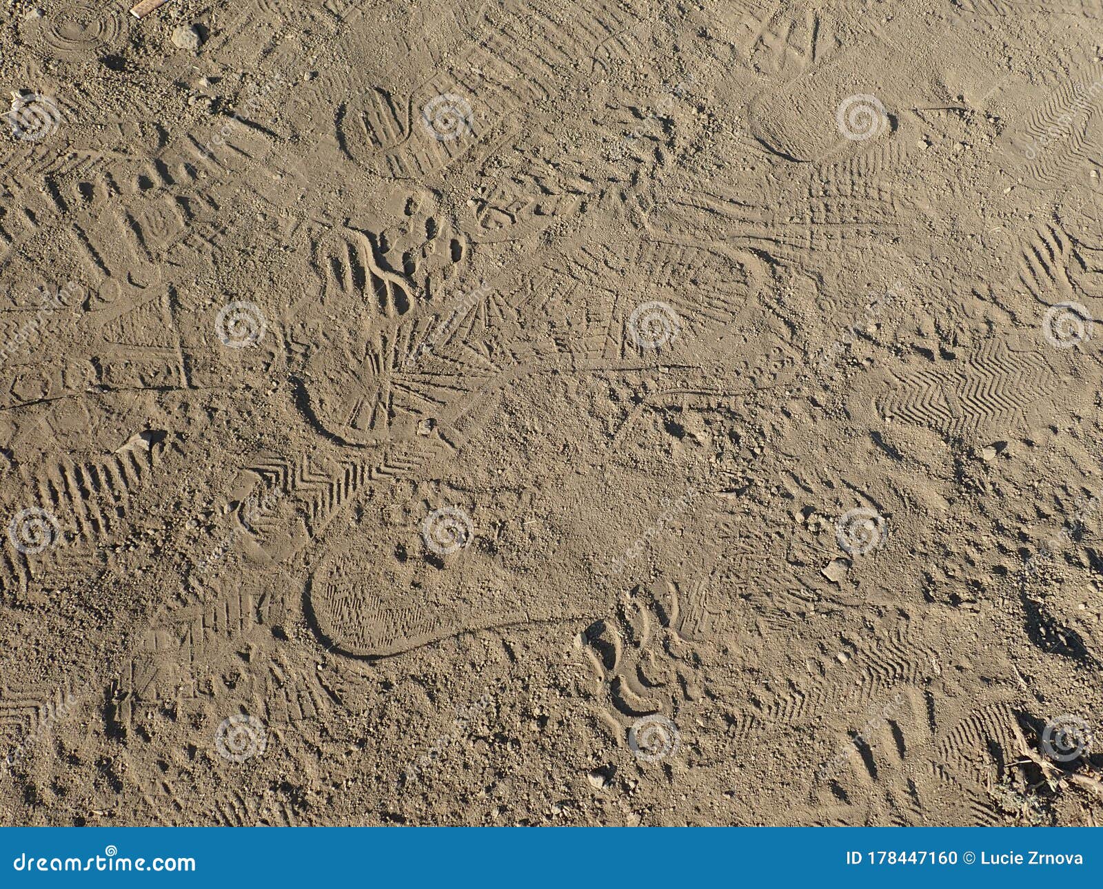 Footprint Trace of a Hiker on a Dusty Trail Stock Photo - Image of ...