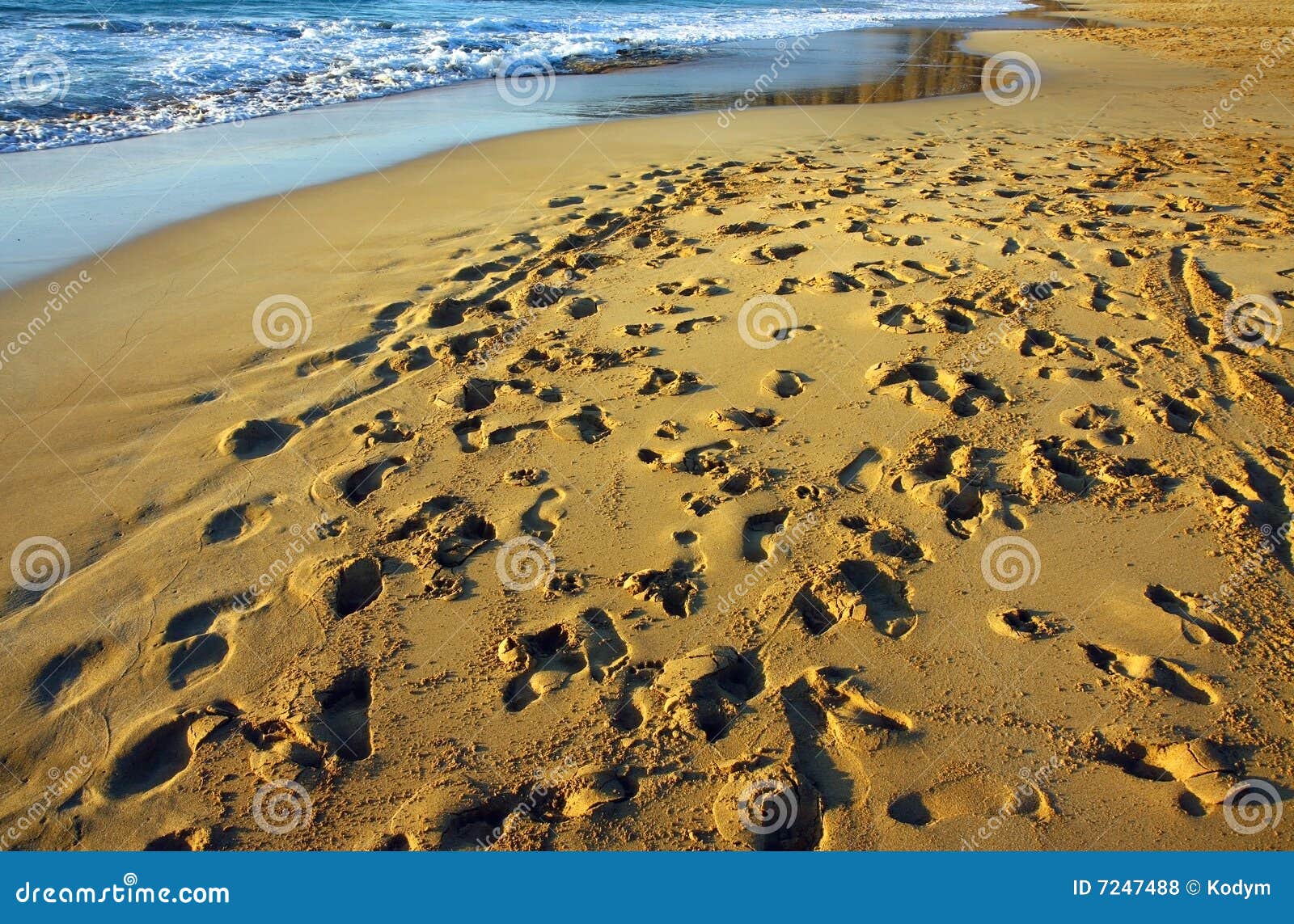 Many Footprints on the Beach Stock Photo - Image of footprint, coast ...