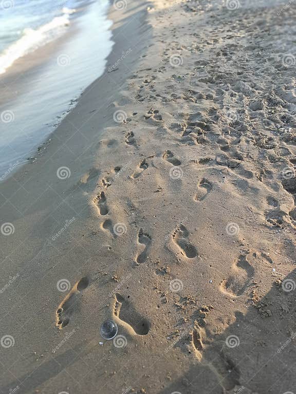 Many Footprints on the Beach Sand in Different Directions Stock Image ...