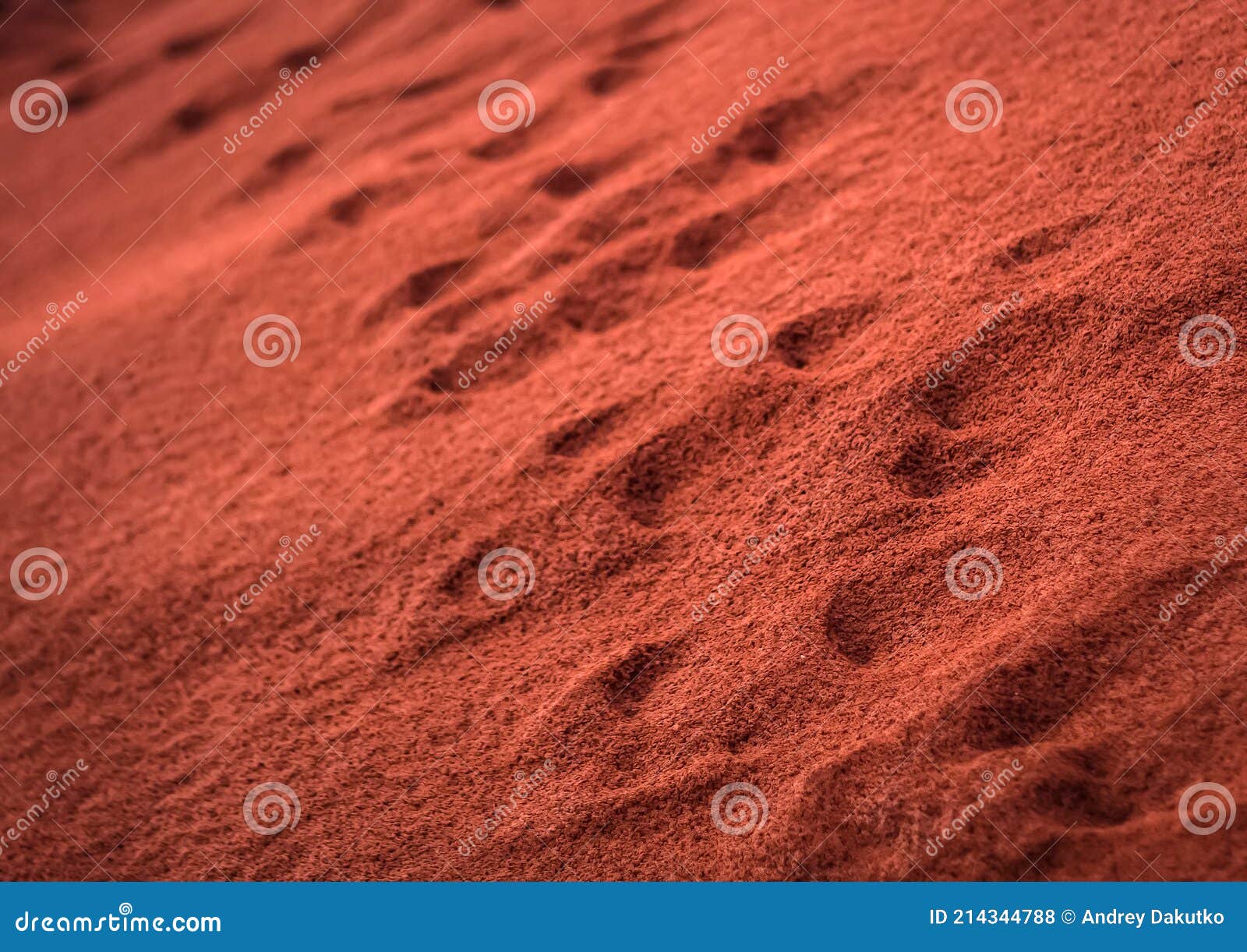 Many Footprints On Desert Sand Texture Or Beach Sand Background Stock ...