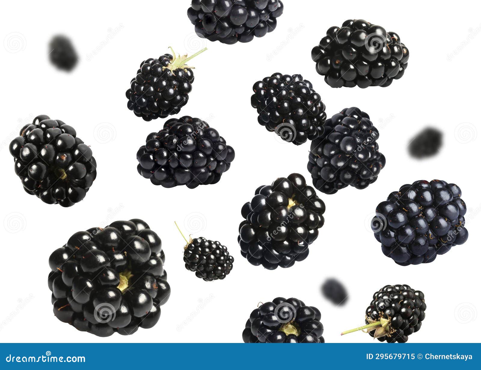 Many Fresh Blackberries Falling on White Background Stock Image - Image ...