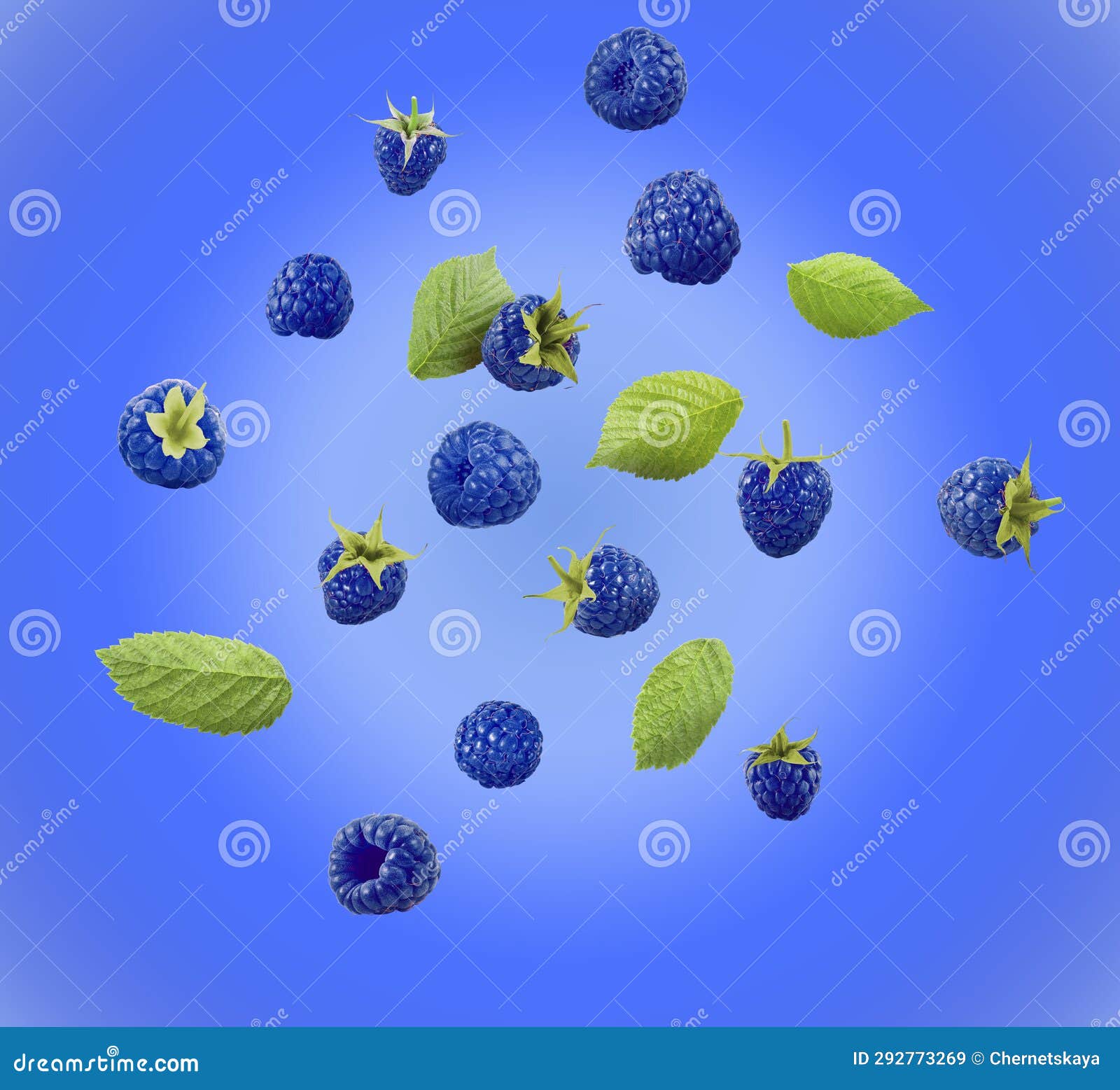 Many Fresh Blue Raspberries and Green Leaves Falling on Blue Background ...
