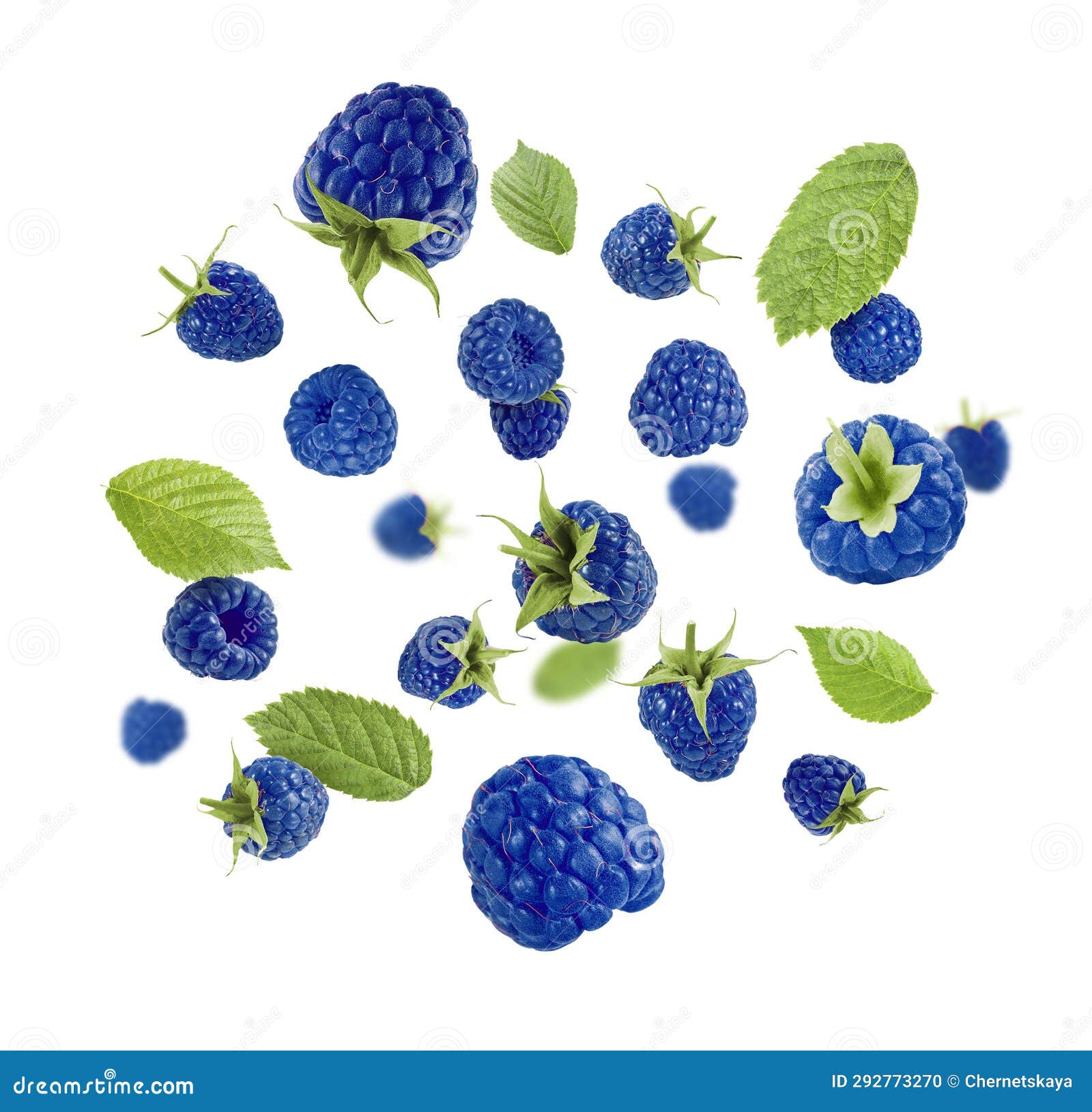 Many Fresh Blue Raspberries and Green Leaves Falling on White ...