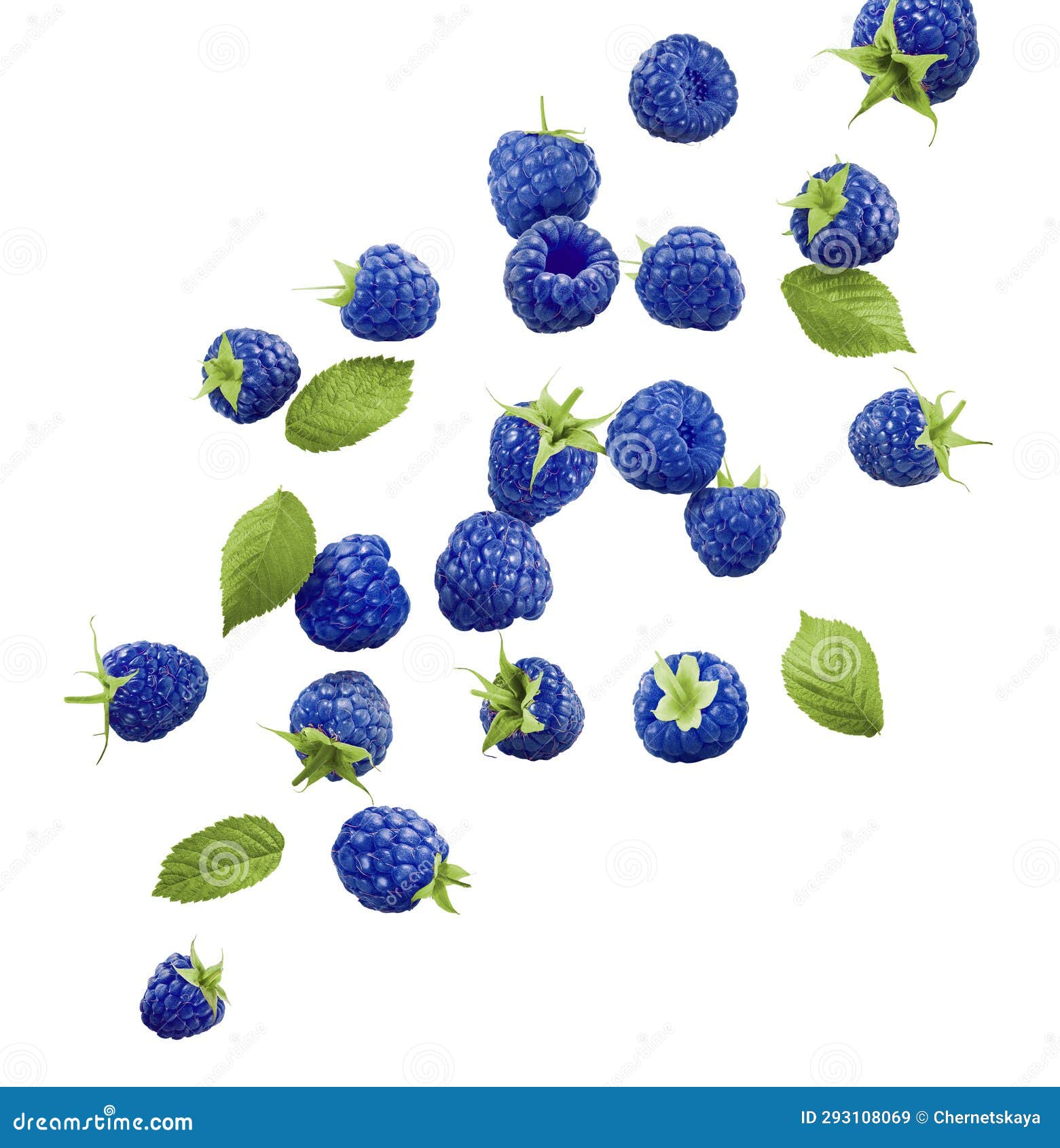 Many Fresh Blue Raspberries and Green Leaves Falling on White ...