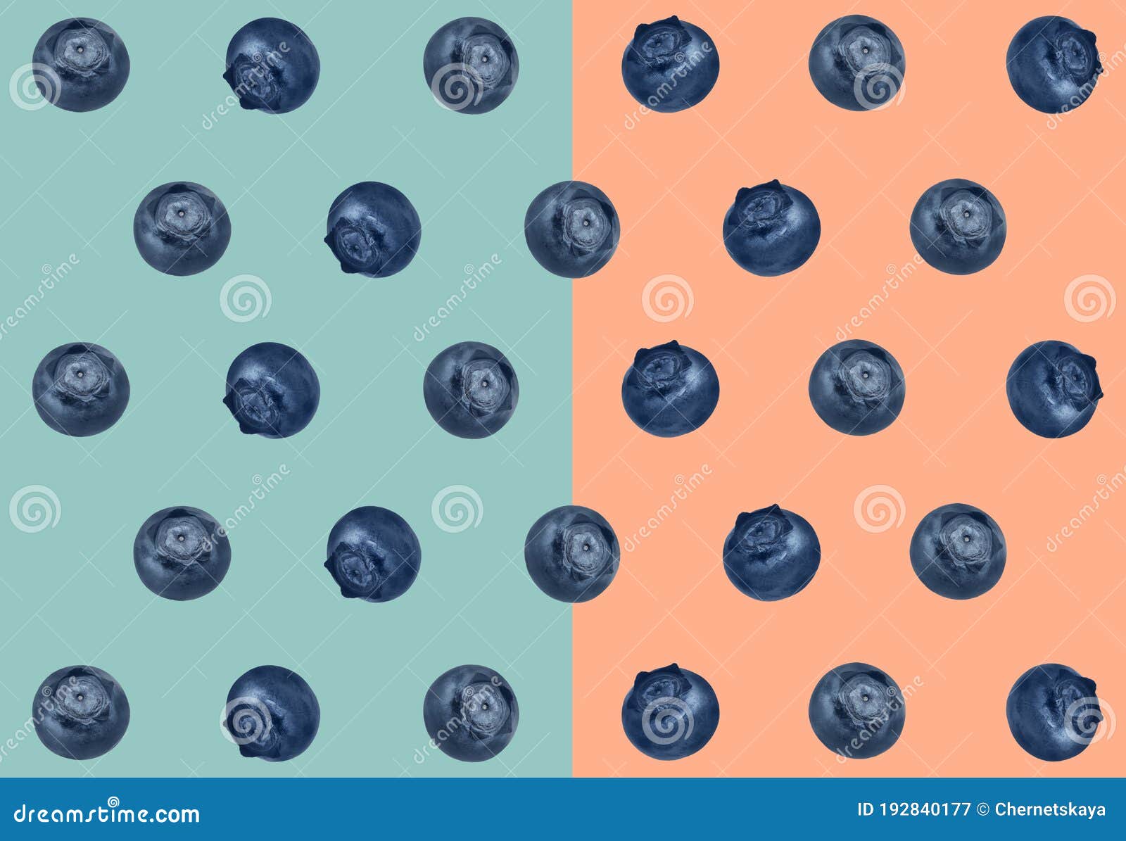 Many Fresh Blueberries on Blue and Pale Coral Background. Pattern ...