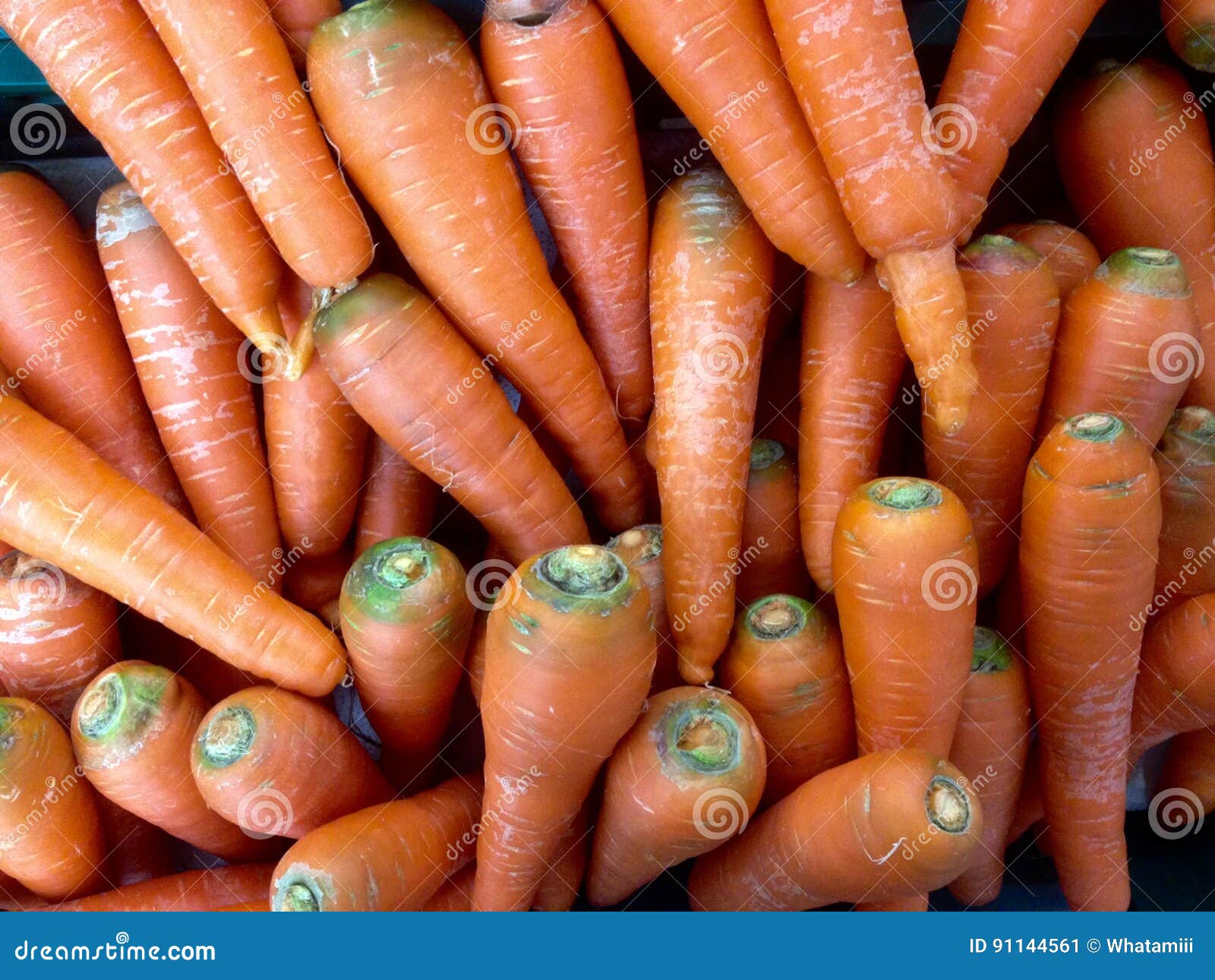 A Stack Of Carot Royalty-Free Stock Photo | CartoonDealer.com #70251585