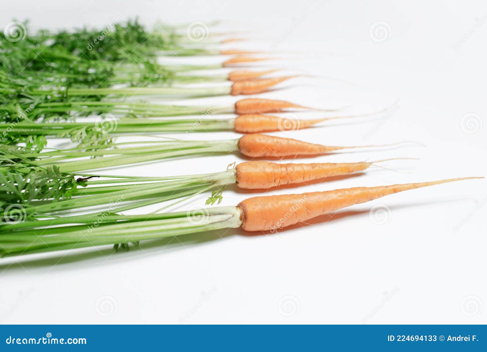 Many Fresh Carrots, Big To Small, Isolated on White. Stock Image ...