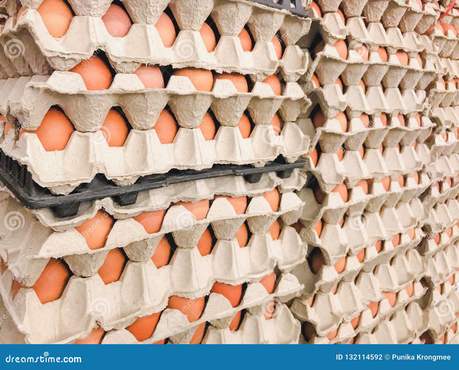 Many Fresh Egg Panel Stacked in Layers Stock Photo - Image of line ...