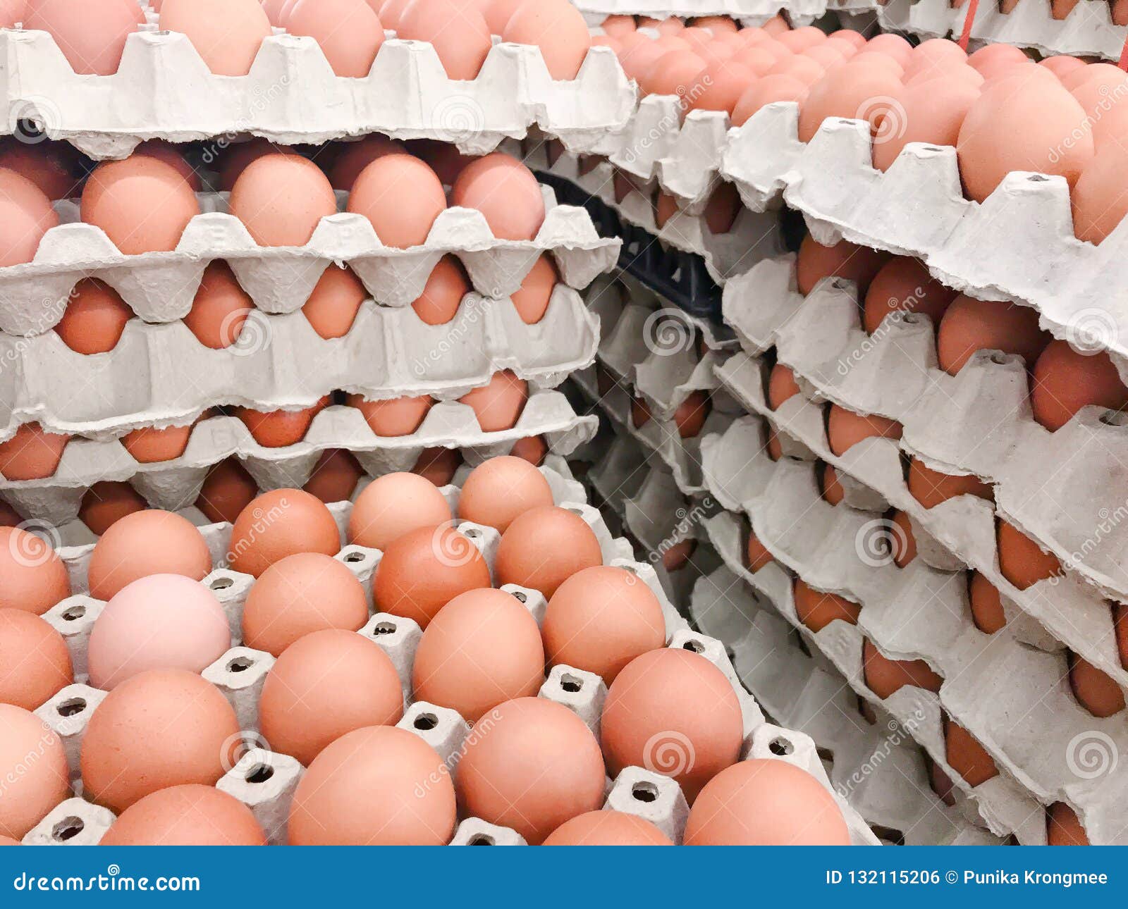 Many Fresh Egg Panel Stacked in Layers Stock Photo - Image of food ...