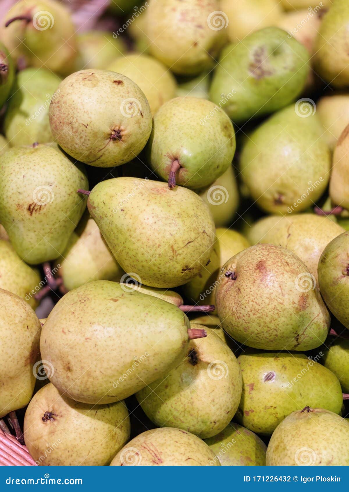Many fresh green pears stock photo. Image of food, nectarines - 171226432