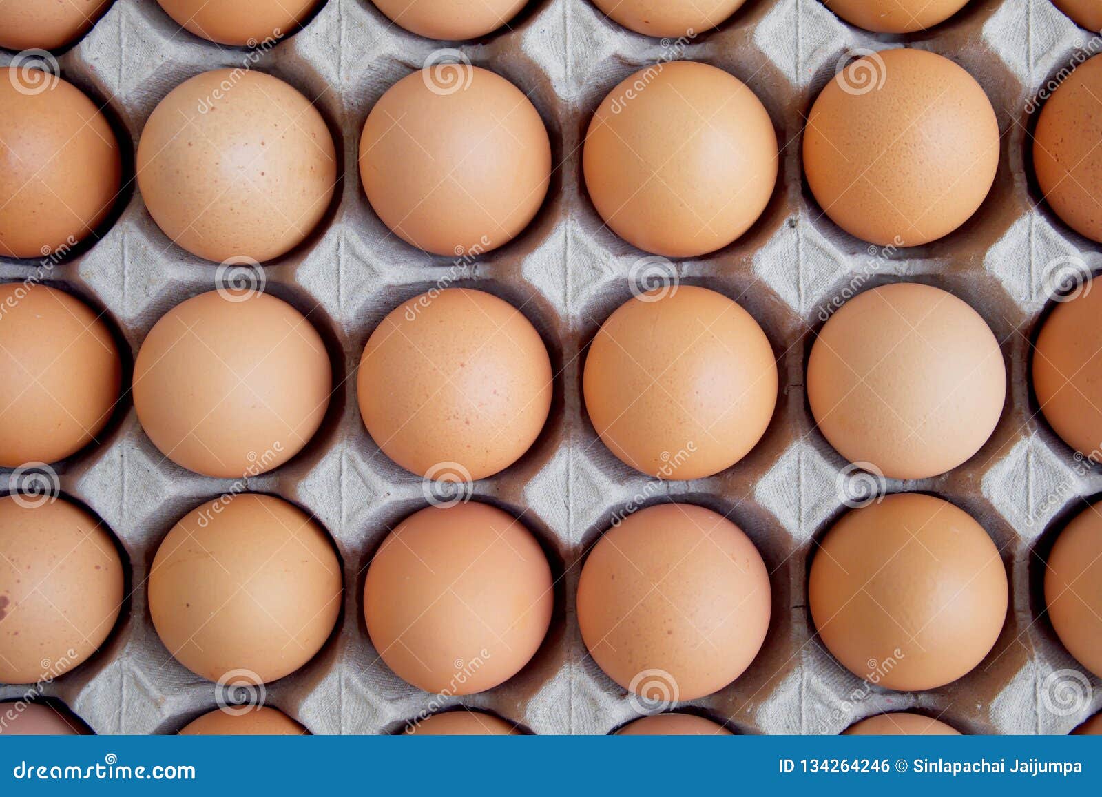 Many Fresh Raw Egg Chicken Lined Up in a Row. Flatlay or Top View ...