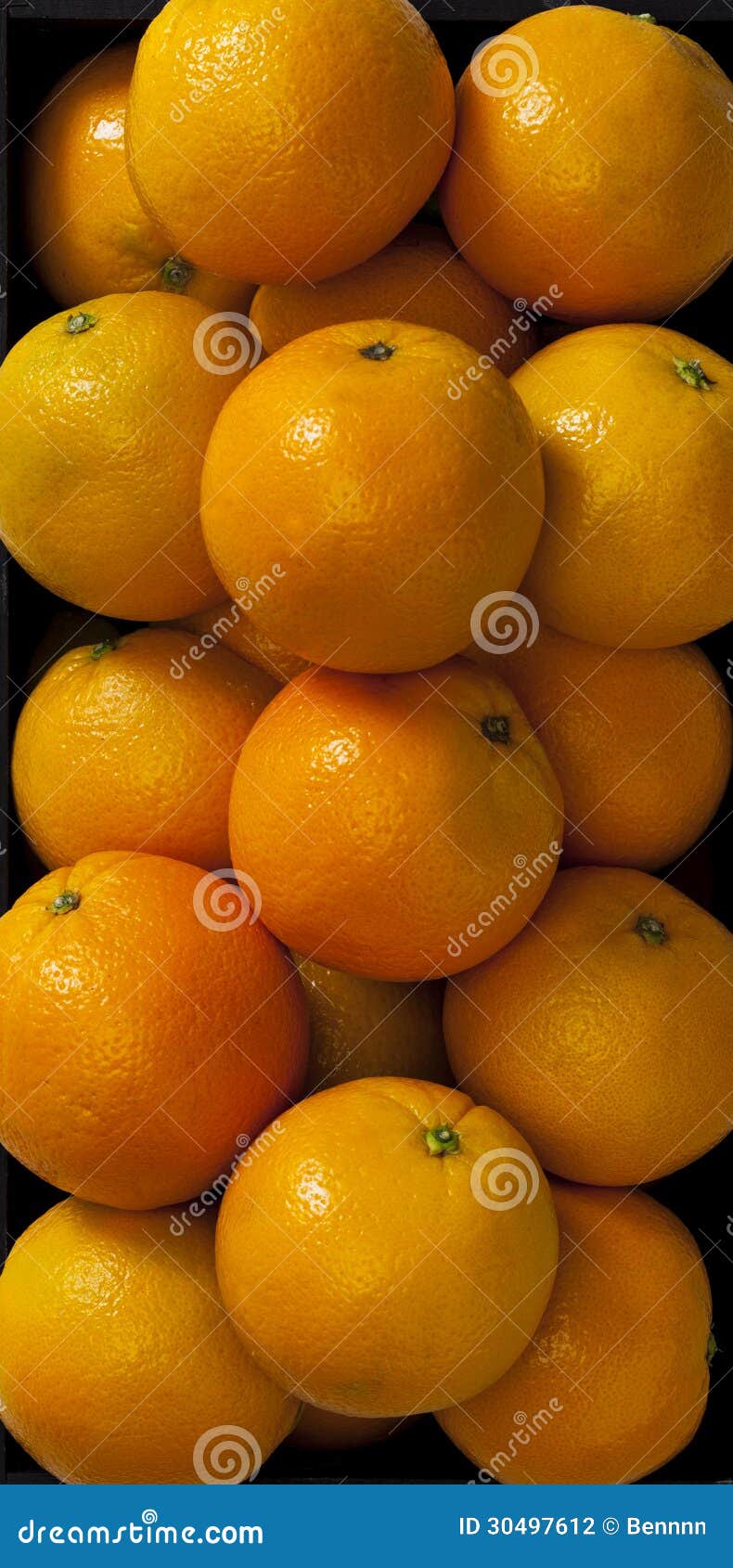 Many fresh raw oranges stock photo. Image of agriculture - 30497612