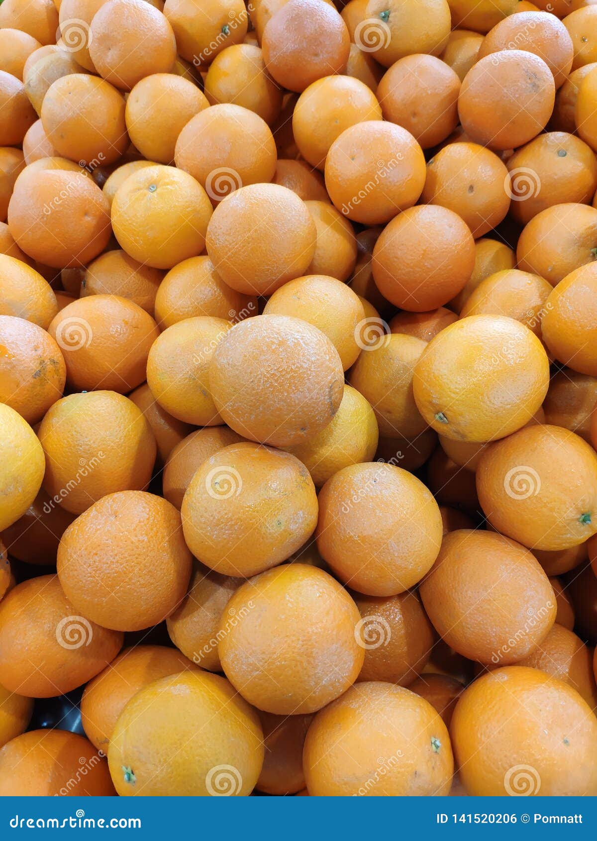 Many fresh Sweet Orange stock photo. Image of sell, market - 141520206