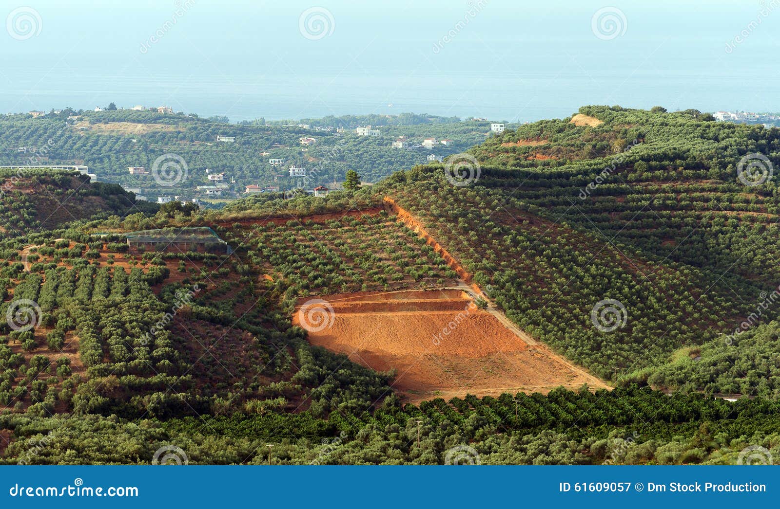 Many fruit trees. stock image. Image of farming, nature - 61609057