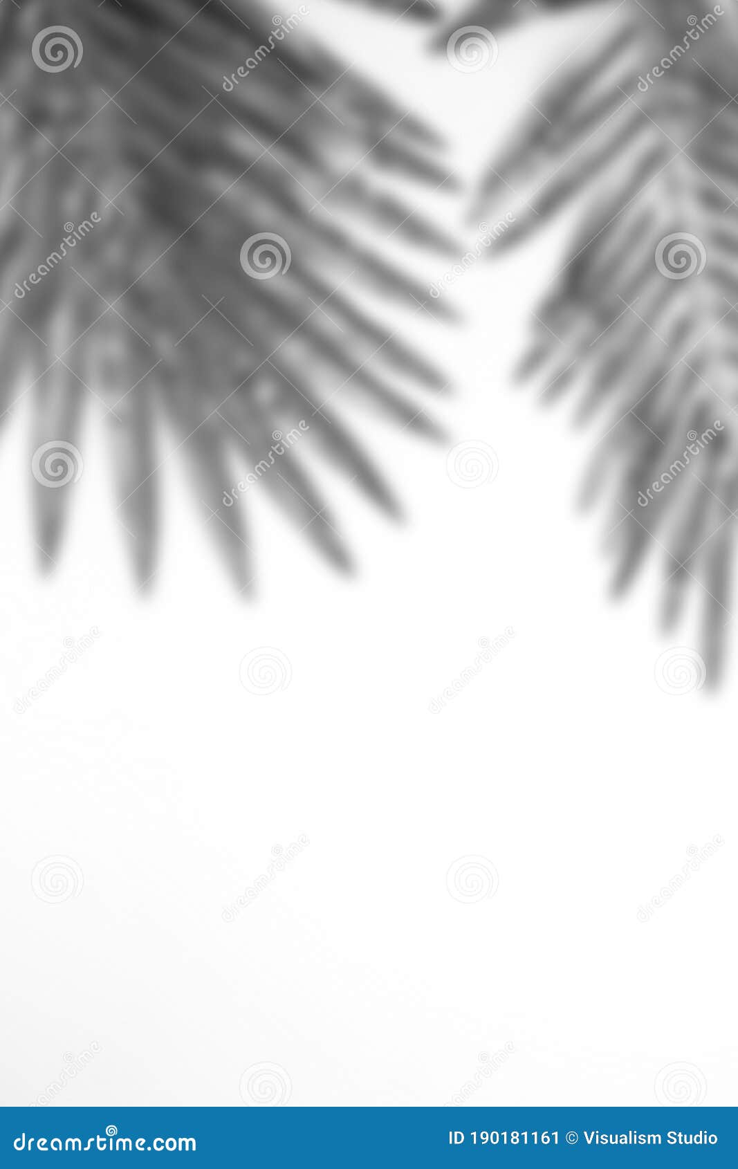 Many Gray Leaf Shadow Overlay Gray Shadow of the Leaves Abstract Nature ...