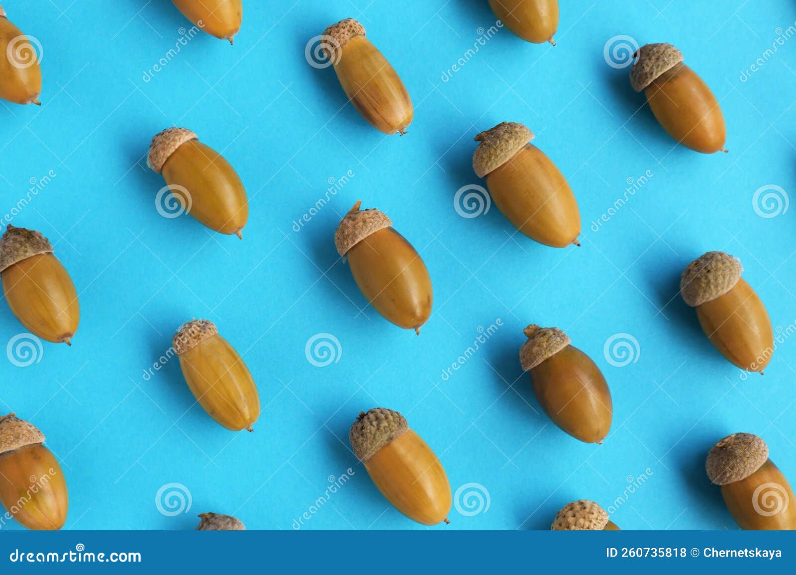 Many Green Acorns on Light Blue Background, Flat Lay Stock Photo ...