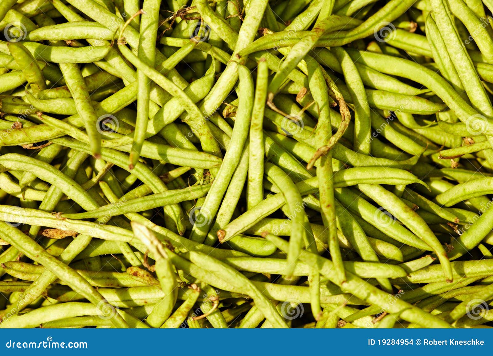 Many green beans stock photo. Image of quantity, string - 19284954