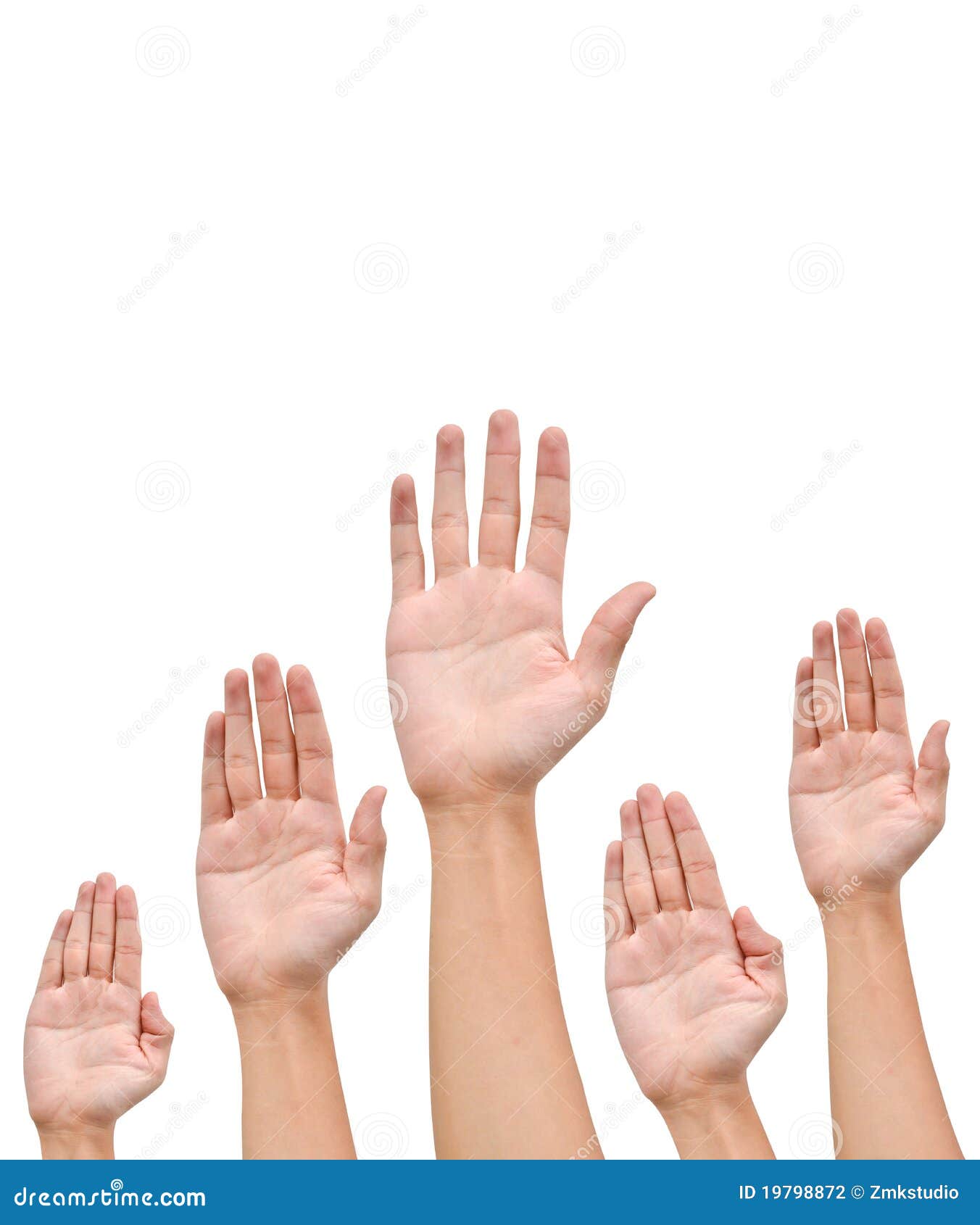 Many Hands raise high up stock photo. Image of celebration - 19798872