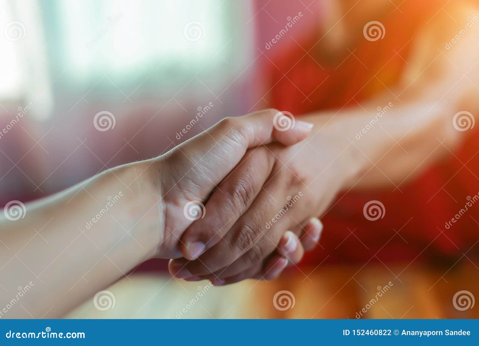Many handshake stock photo. Image of palm, female, cohesion - 152460822