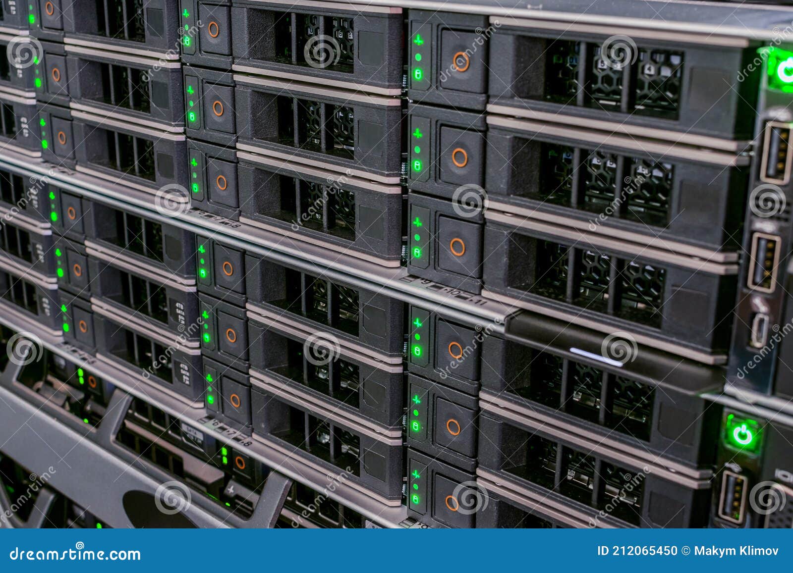 Many Hard Drives are Installed in the Storage Server Slots. Hosting of ...