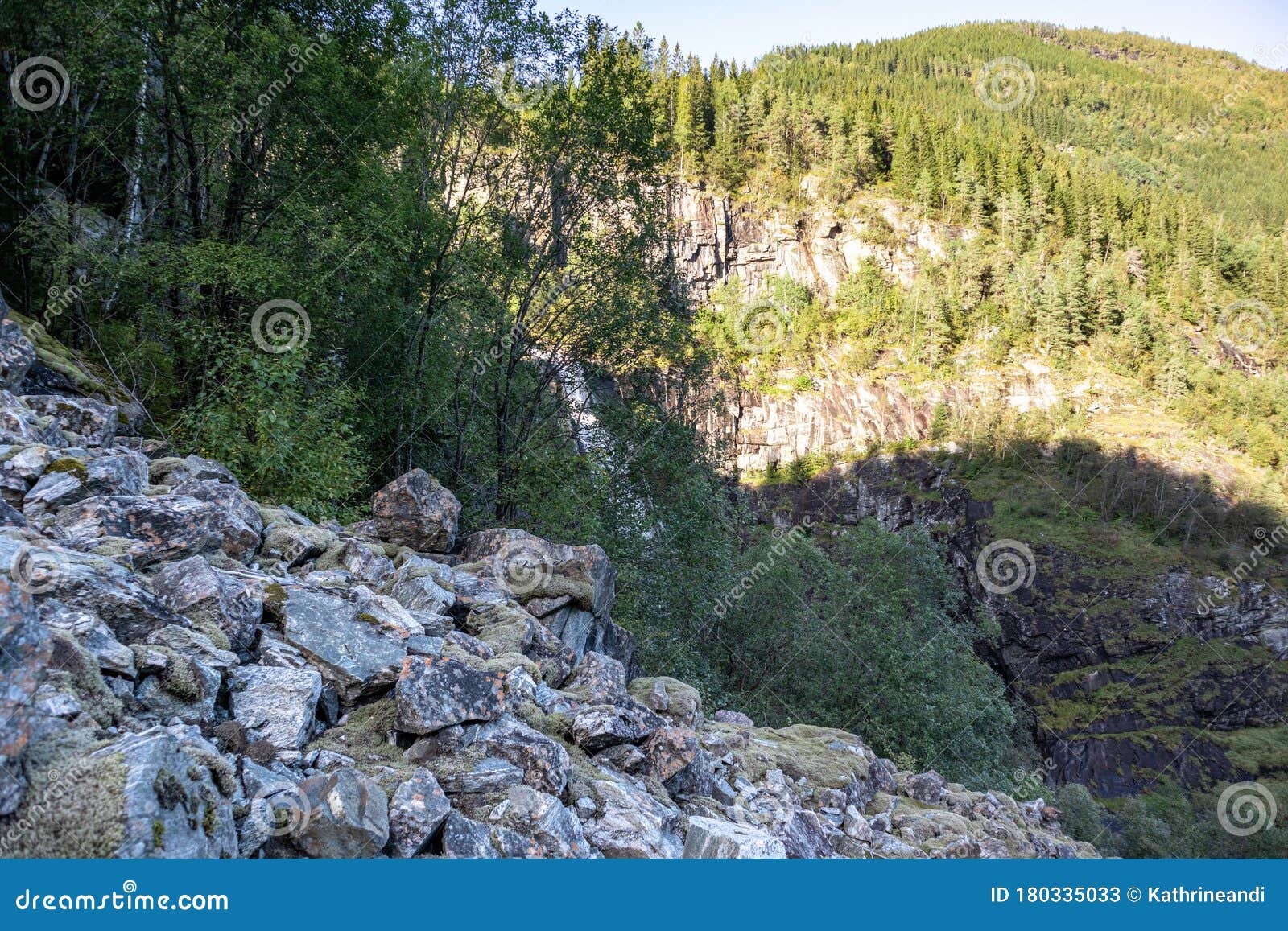 Many Hard Sharp Rocks with Pine Forest on Horizon Stock Image - Image ...