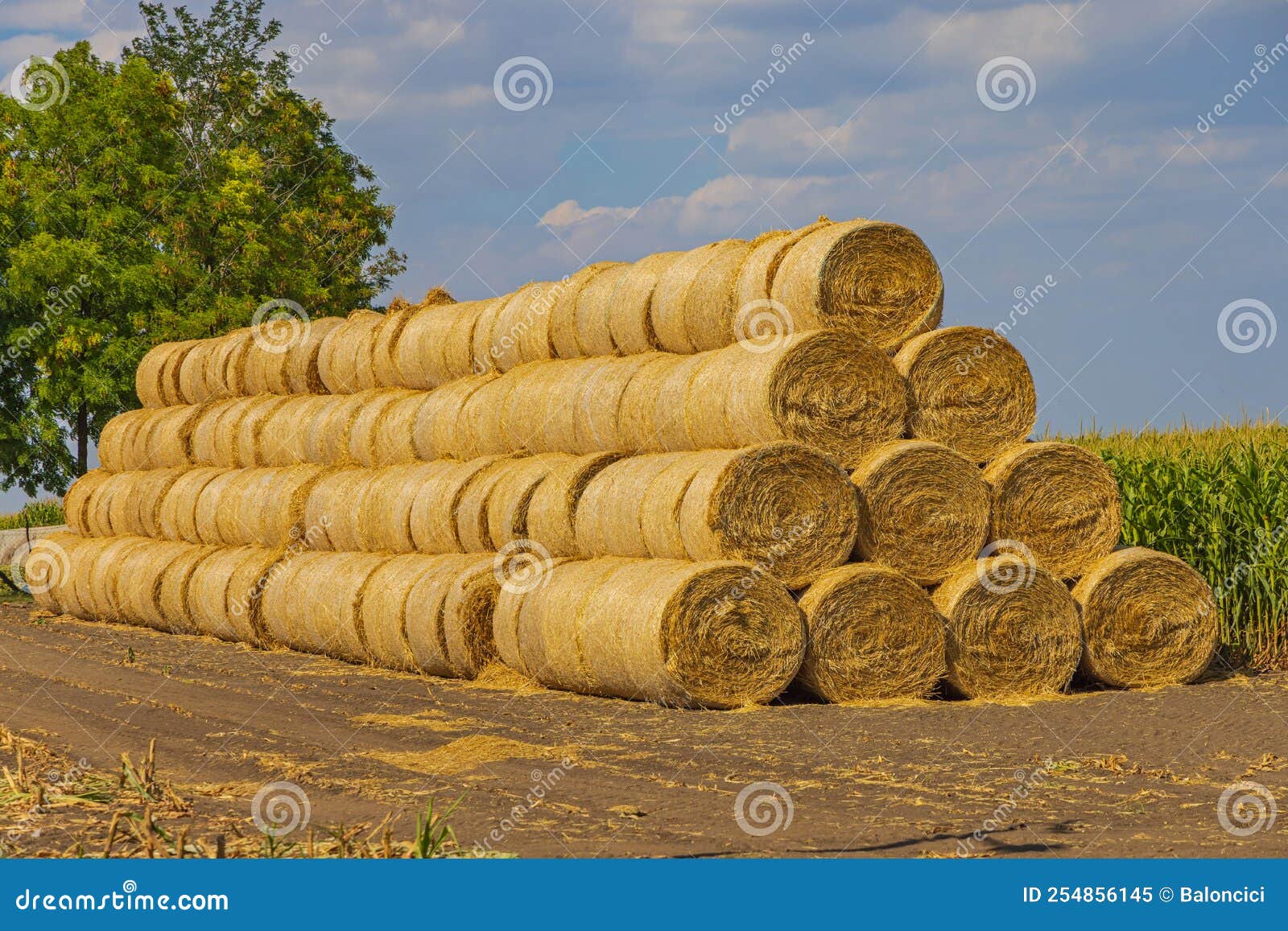 Haystack Rolls Stack stock image. Image of crops, storage - 254856145